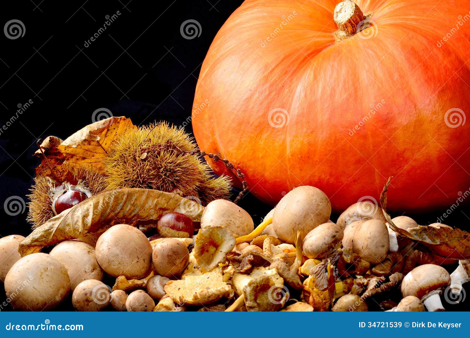 3,637 Black Chestnuts Stock Photos - Free & Royalty-Free Stock Photos ...