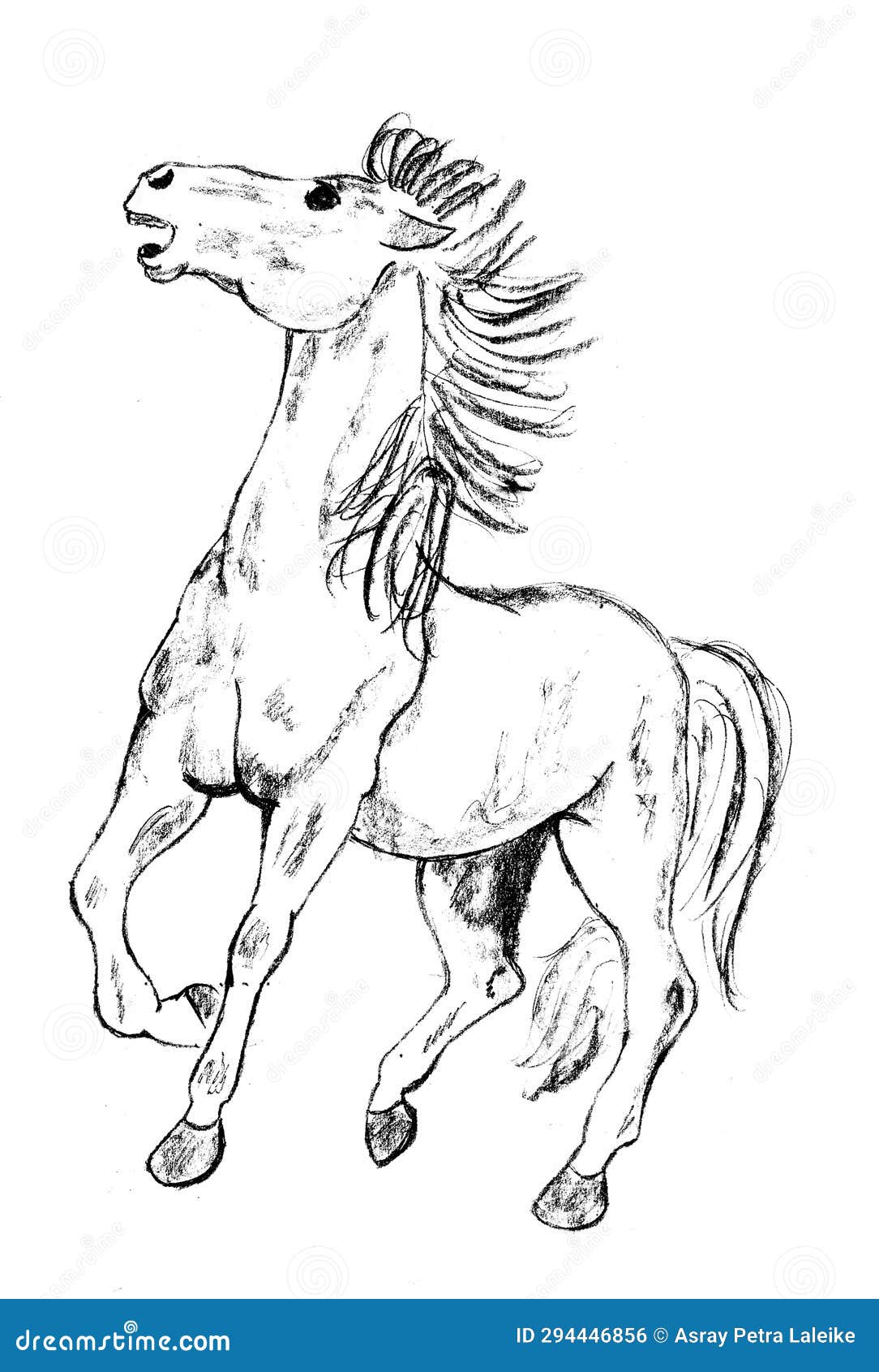 Wild Mustang, Hand Drawn Artwork in Black and White Stock Illustration ...