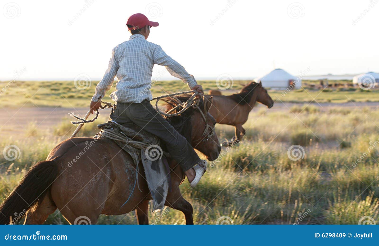 Wild Mustang roundup stock image. Image of rural, motion - 6298409