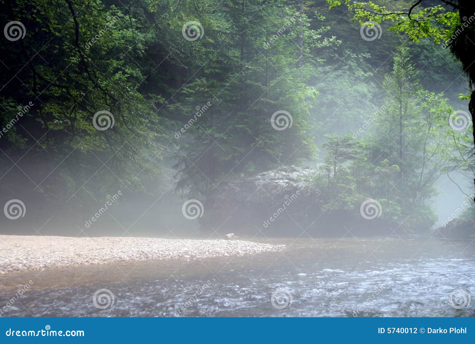 Wild nature stock photo. Image of nature, ecology, humidity - 5740012