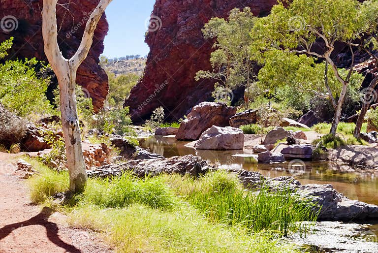Wild Nature at Simpsons Gap Stock Photo - Image of ranges, tree: 25514656