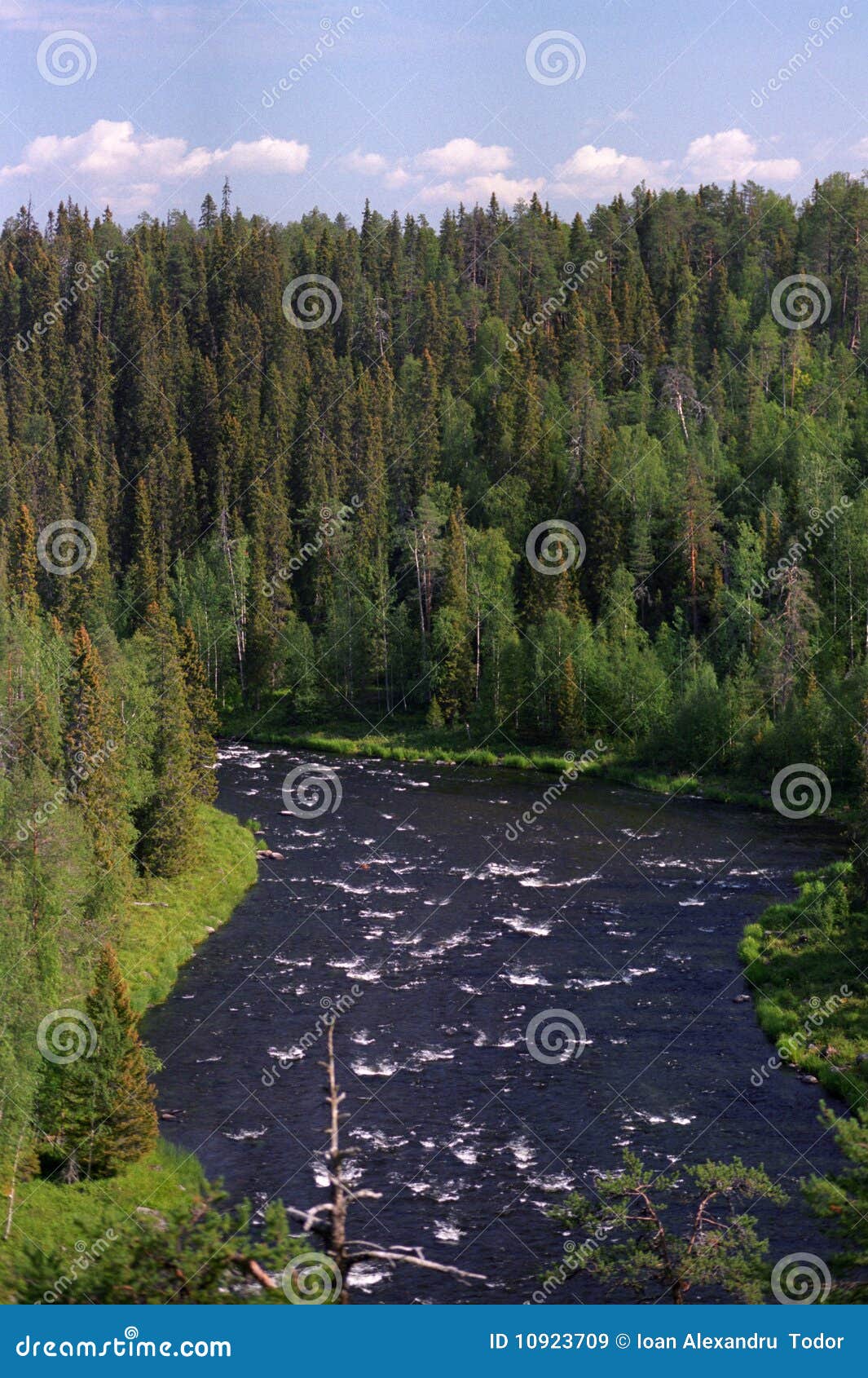 Wild Northern river stock image. Image of blue, river - 10923709