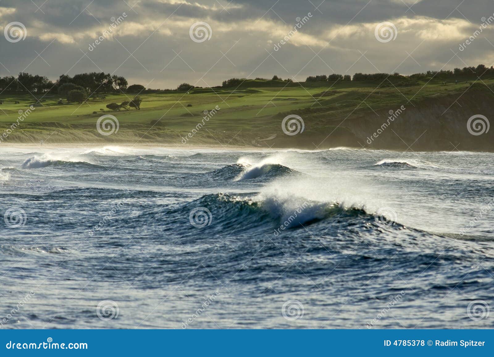 Wild Ocean stock photo. Image of water, cloud, green, sand - 4785378