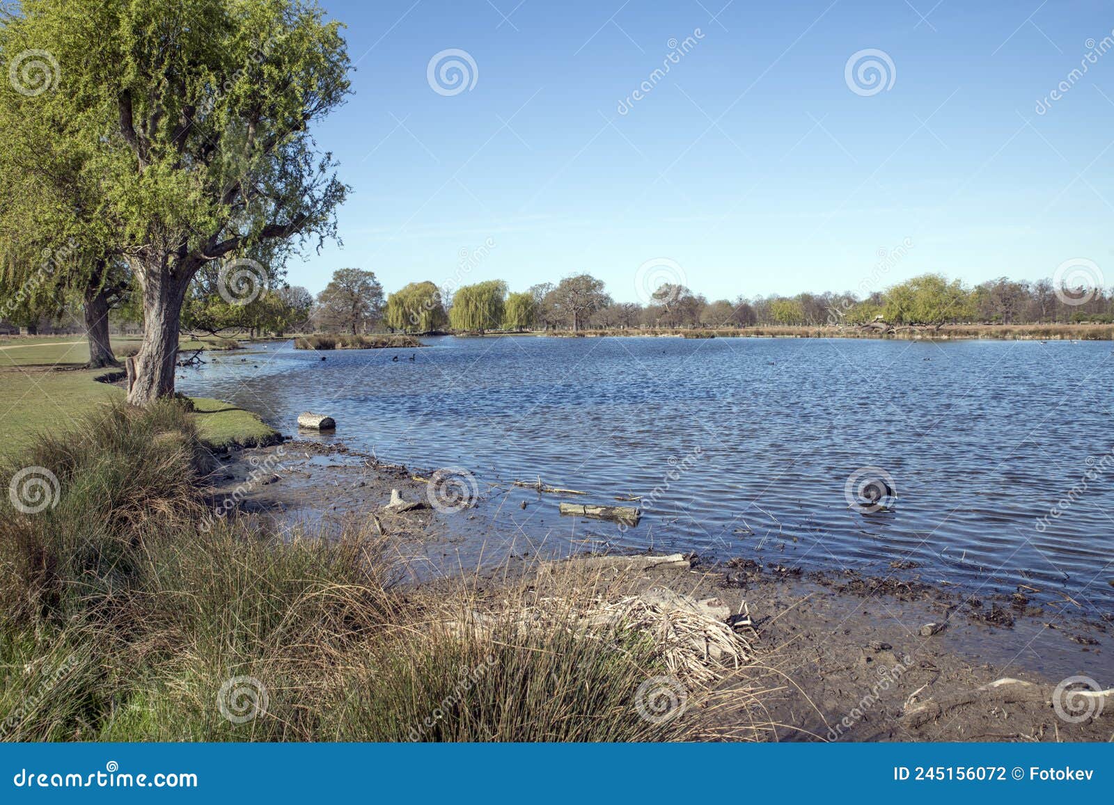 Wild Open Spaces so Important Stock Photo - Image of alone, gods: 245156072