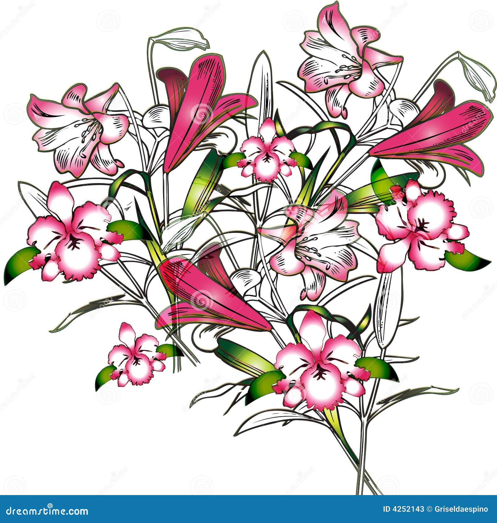Wild orchids stock vector. Illustration of summer, exotic - 4252143