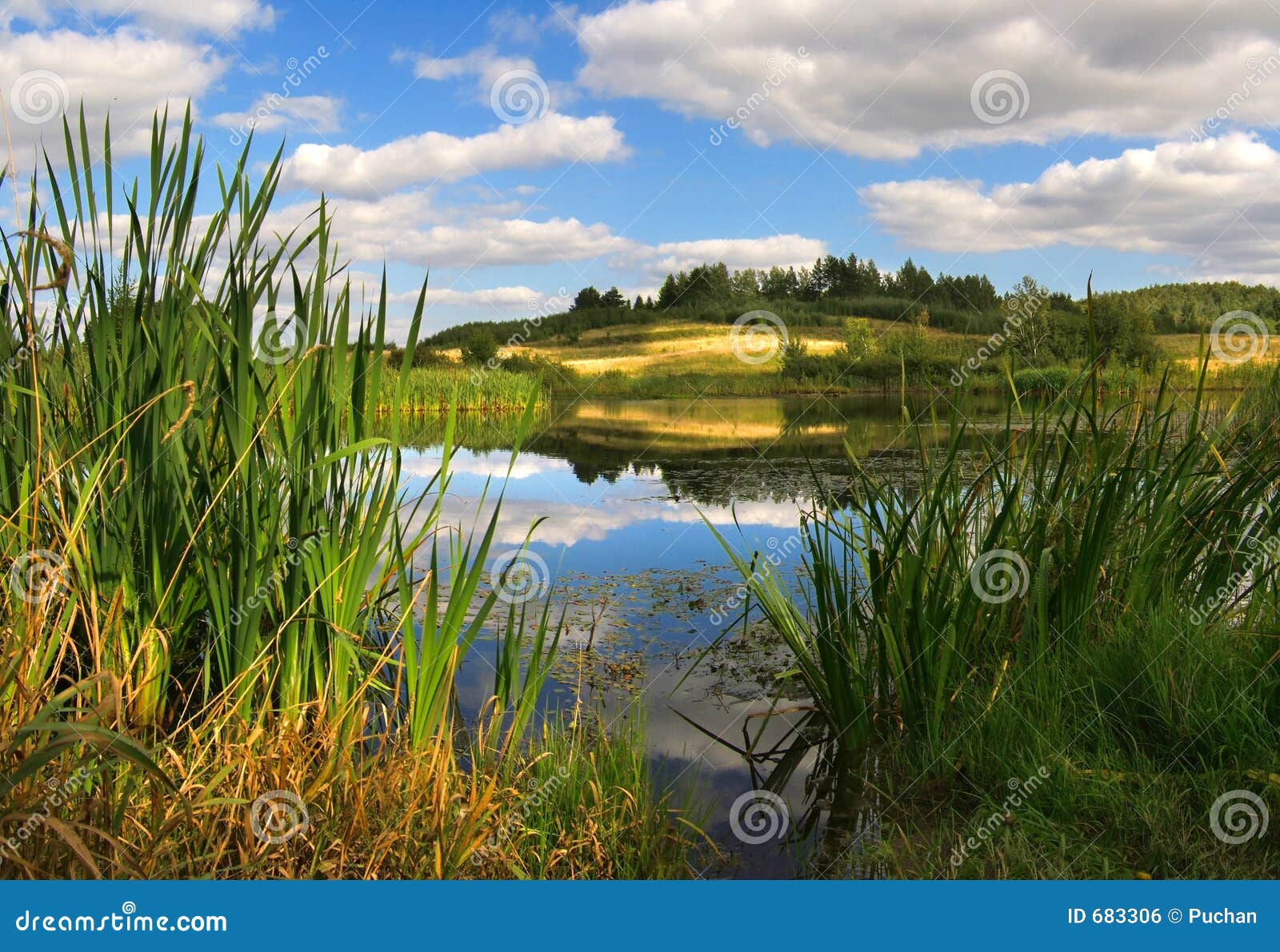Wild place stock photo. Image of nature, wild, clear, water - 683306