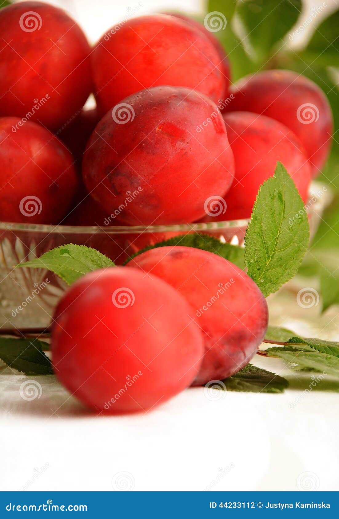 Wild plums stock photo. Image of white, wild, heap, fruit - 44233112