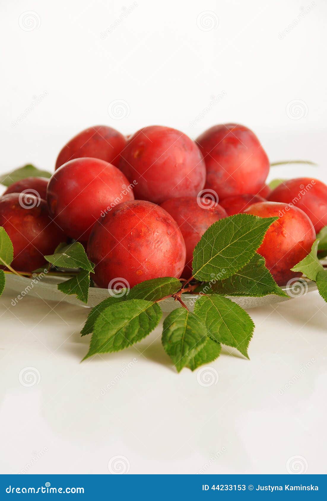 Wild plums stock image. Image of ringlov, white, season - 44233153
