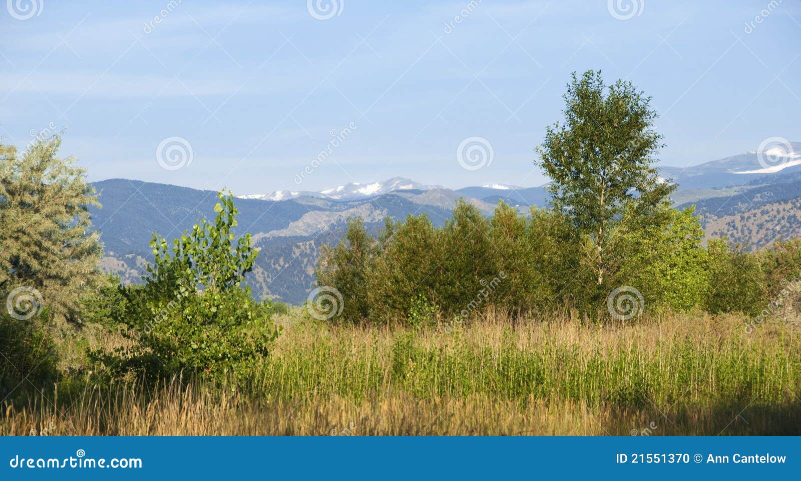 Wild Prairie Scene with Distant Mountains Stock Photo - Image of divide ...
