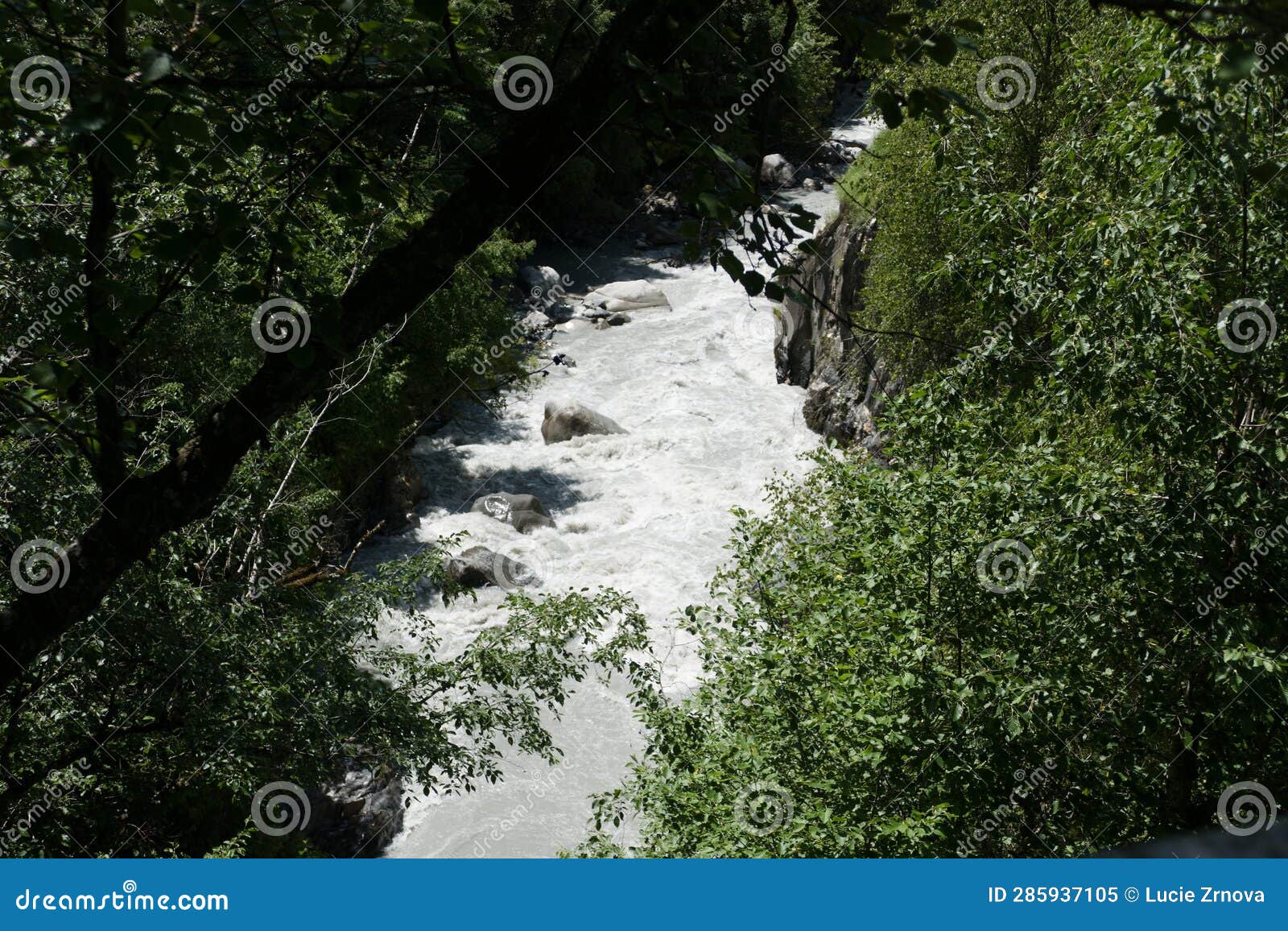 Wild Pure Water River in the Foerst Stock Image - Image of summer ...