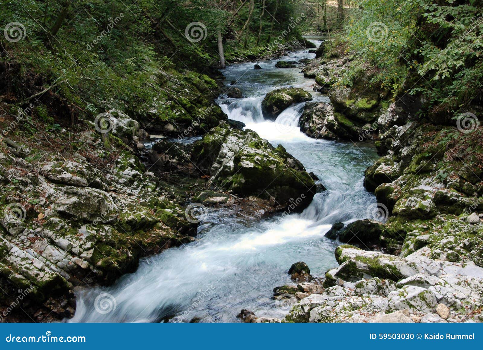 Wild rapids stock photo. Image of picturesque, getaway - 59503030