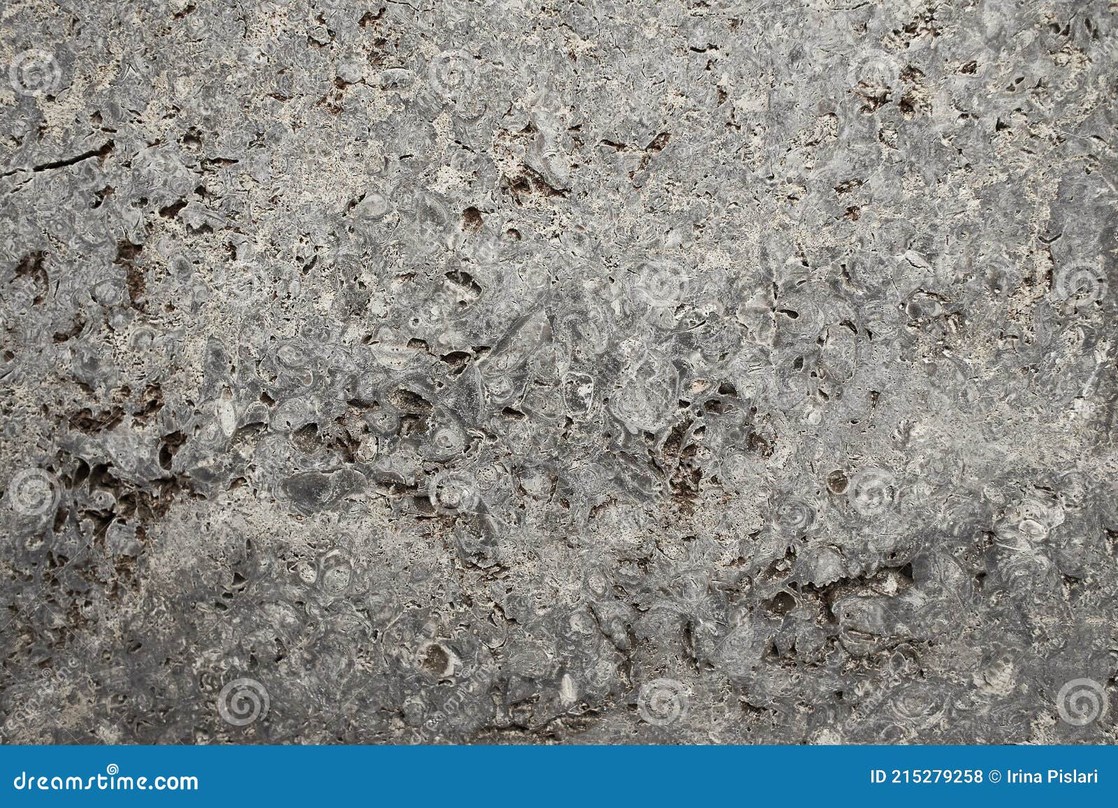 Wild Raw Marble Stone with Holes Texture. Multi-colored Stock Photo ...