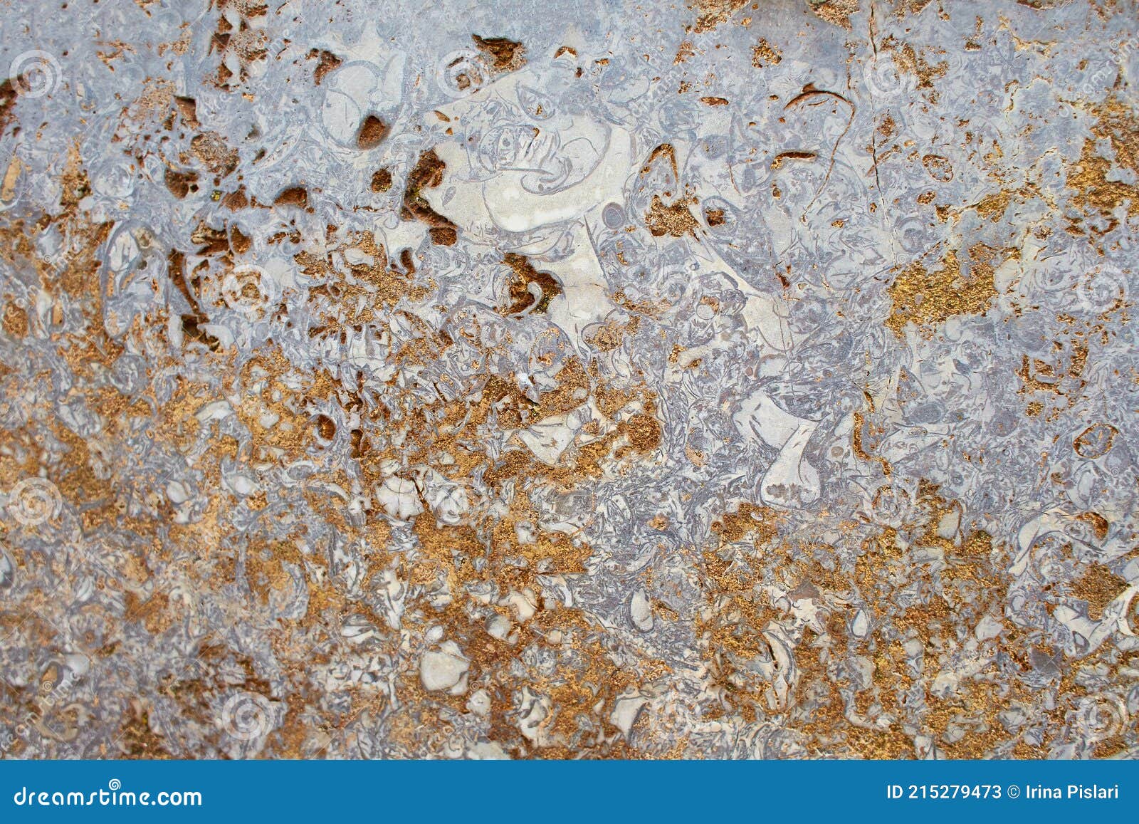 Wild Raw Marble Stone with Holes Texture. Multi-colored Stock Image ...