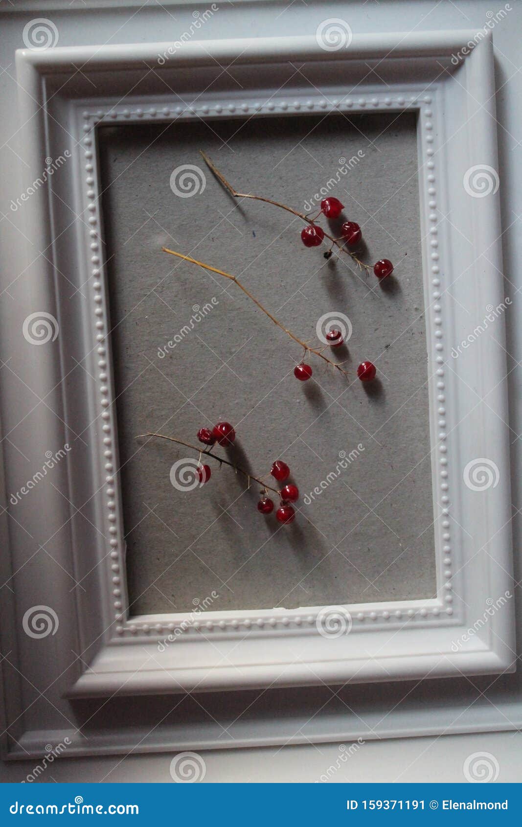 Berry in frame stock image. Image of beautiful, hobby - 159371191