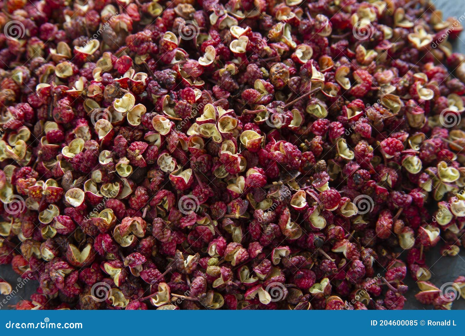 Wild Red Pepper Corn Close Up. Stock Image - Image of mushroom, small ...