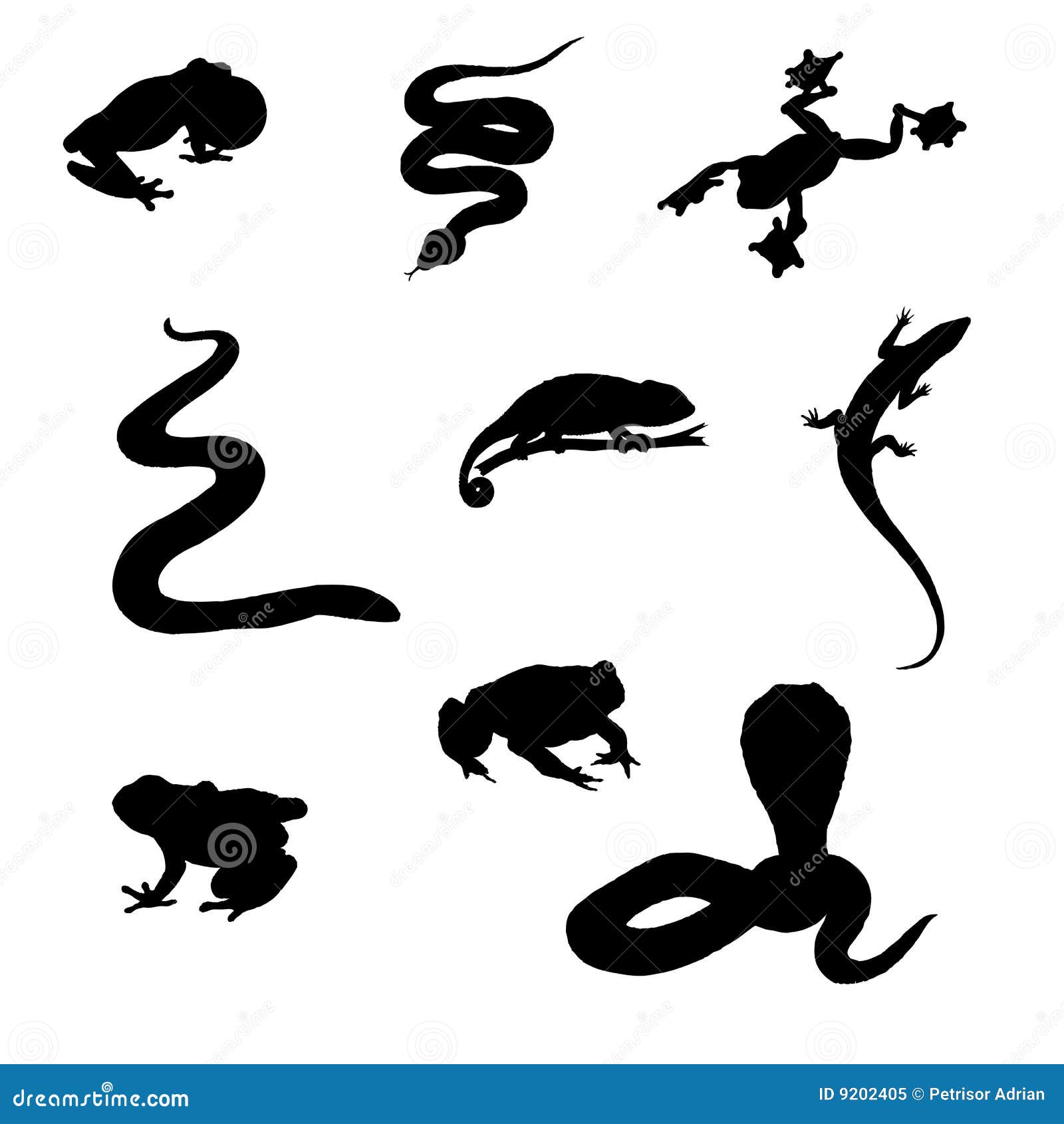 Reptile Vector Animal Reptilian Character Lizard Turtle Iguana And ...