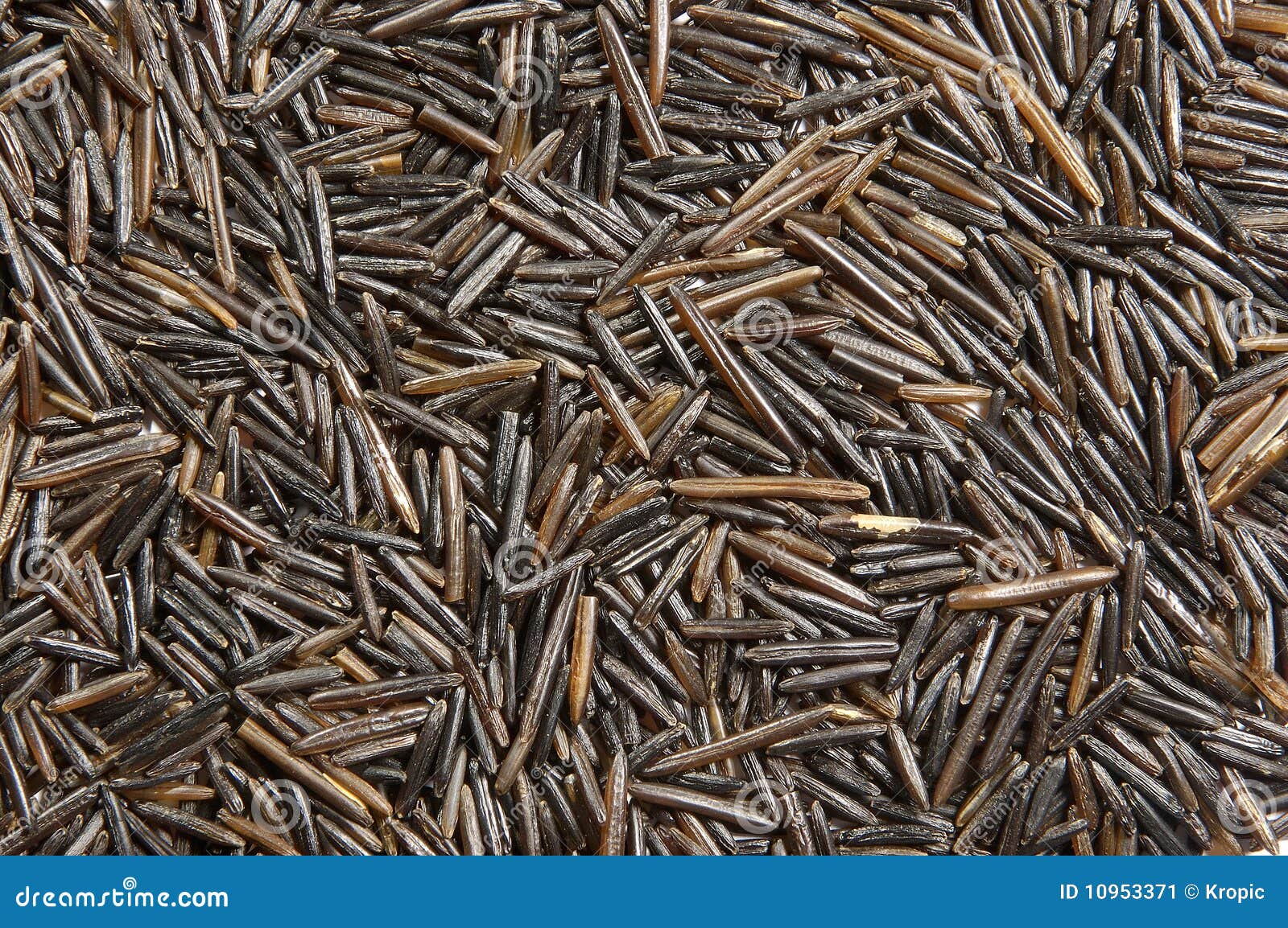 The Wild Rice stock image. Image of material, colour - 10953371