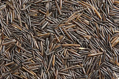 The Wild Rice stock image. Image of material, colour - 10953371
