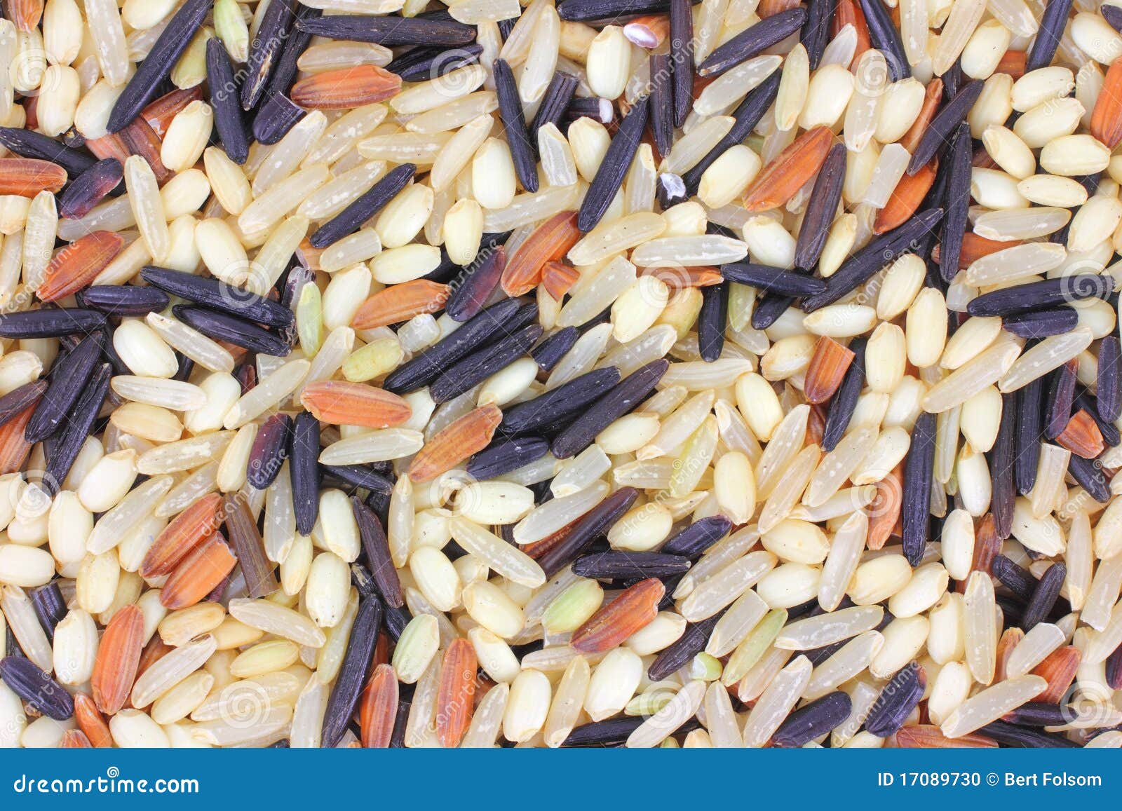 Wild Rice Varieties at Mary Wilber blog