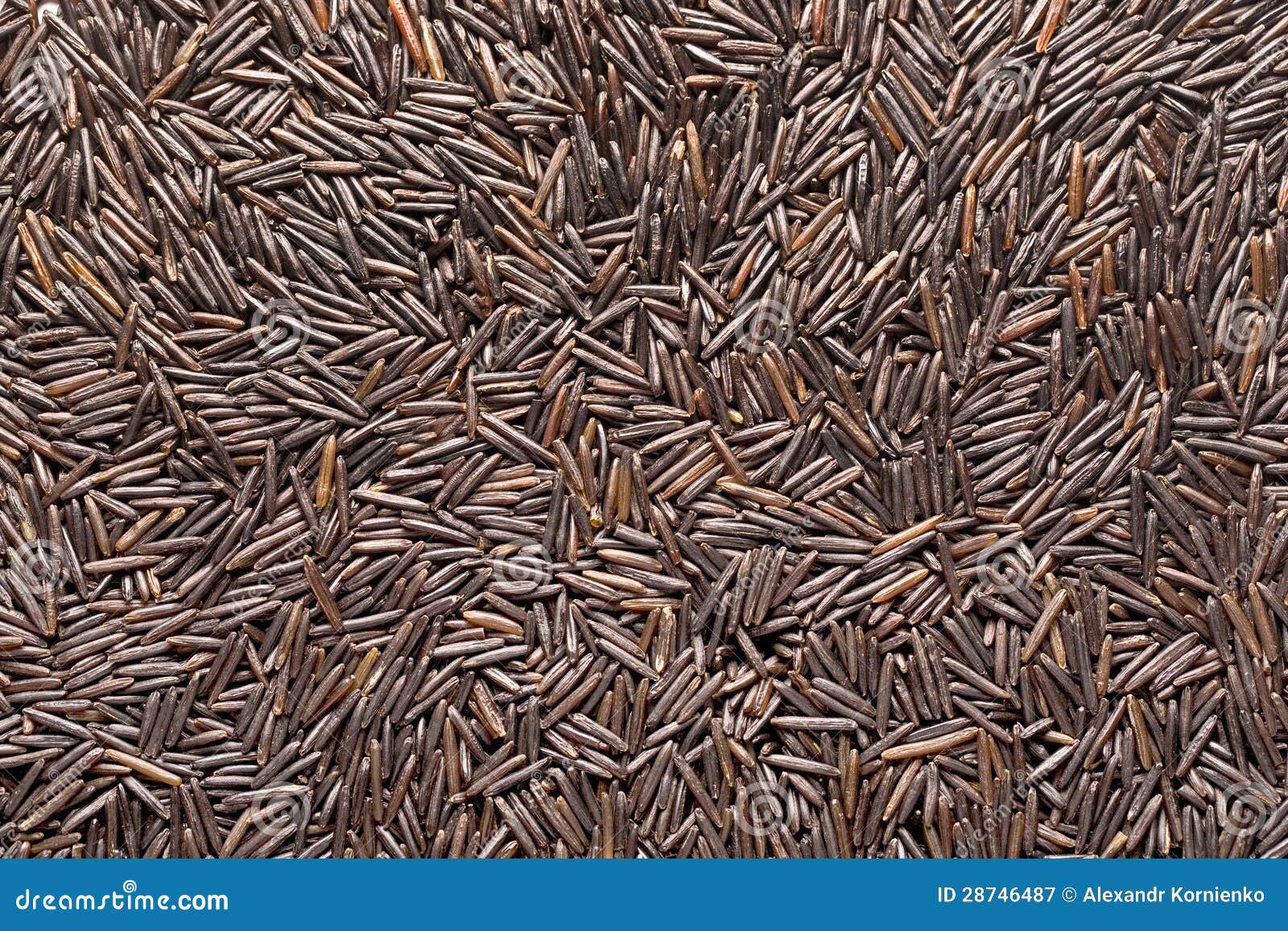 Wild rice. stock image. Image of mass, indian, heap, cereal - 28746487