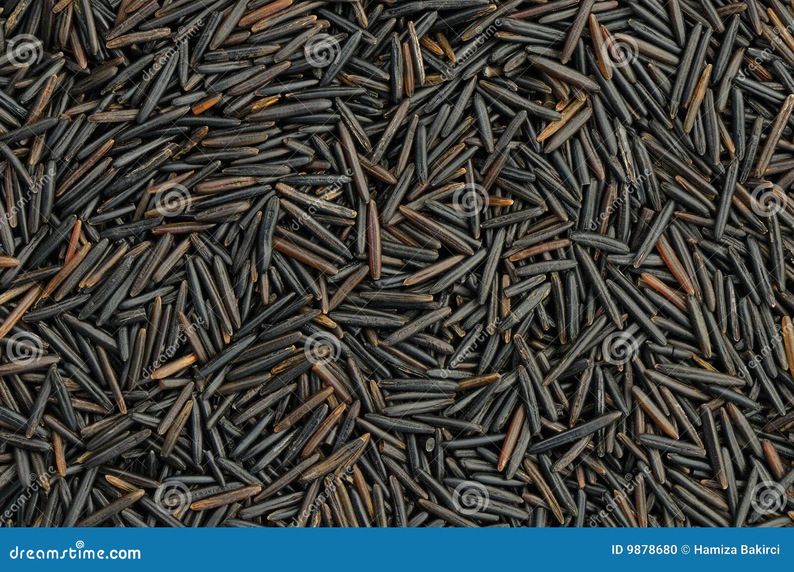 Wild rice background stock photo. Image of texture, eating - 9878680