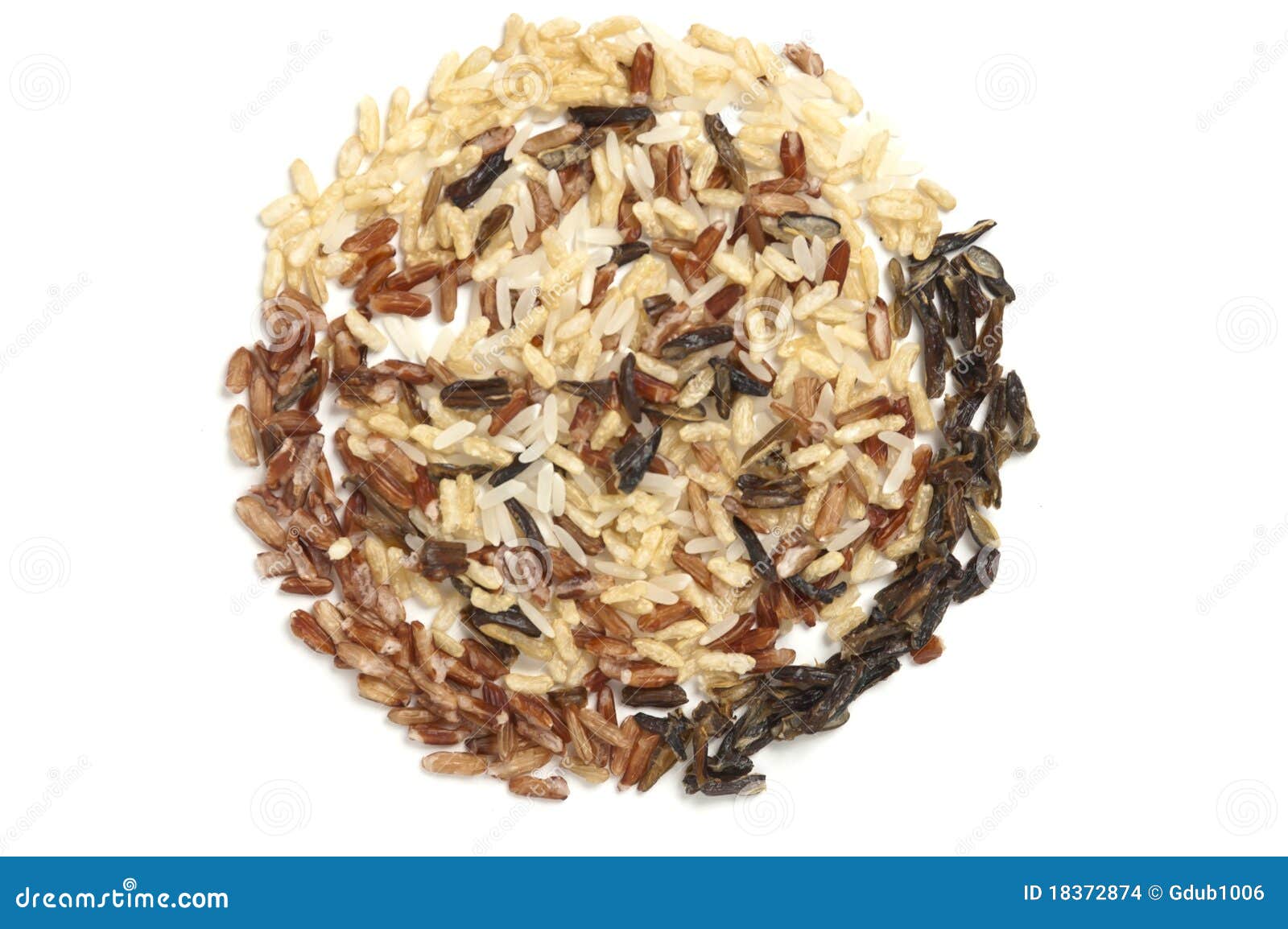 Wild Rice Circle stock photo. Image of macro, selective - 18372874