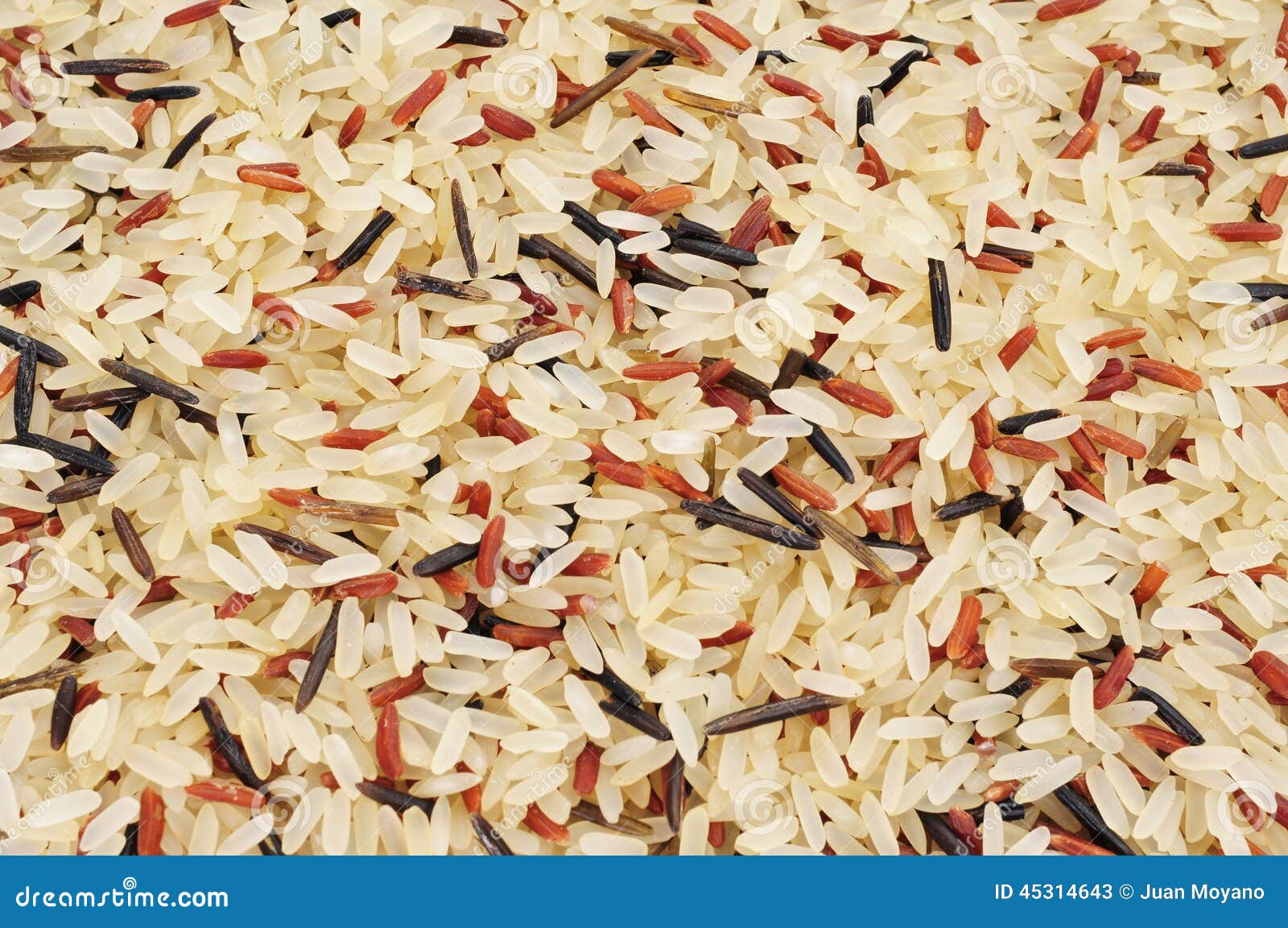 Wild rice stock image. Image of rice, healthy, horizontal - 45314643