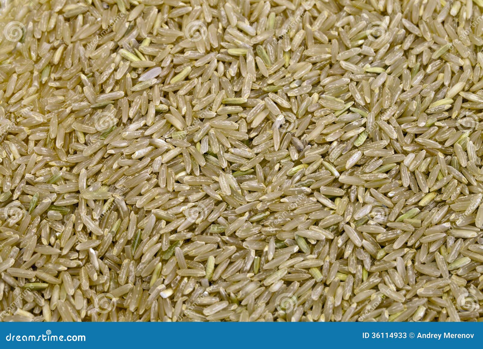 Wild rice stock image. Image of close, kitchen, cooking - 36114933