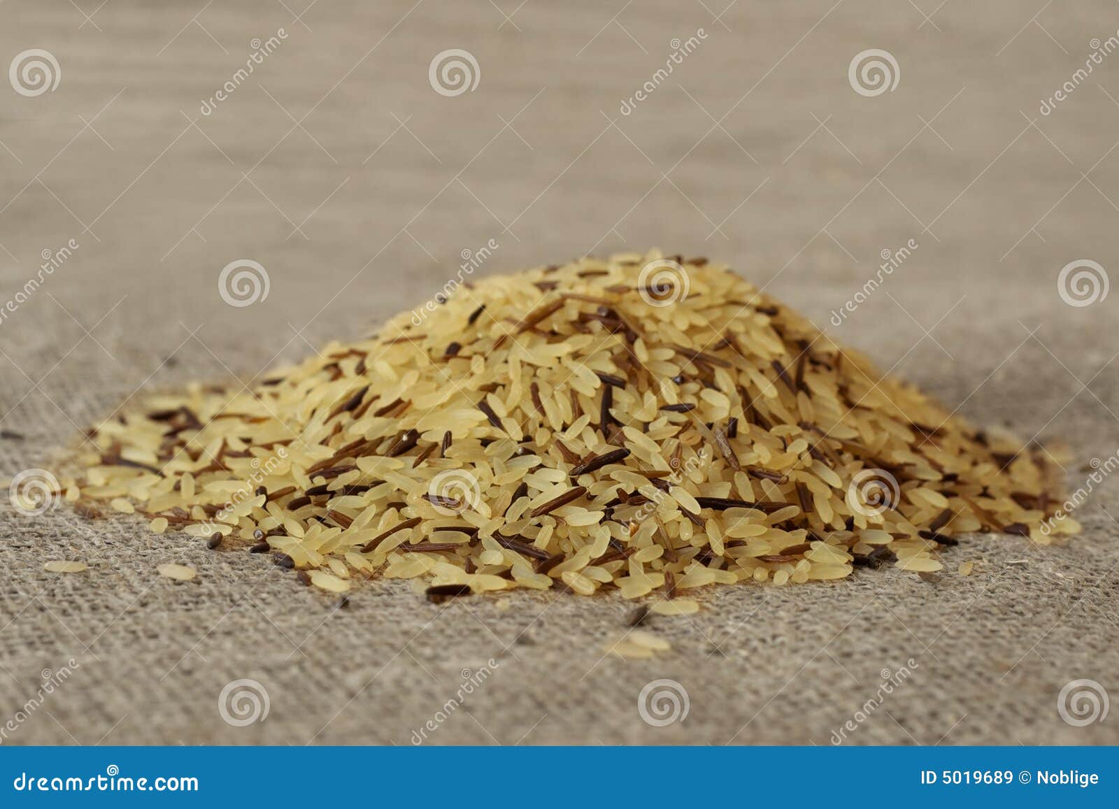 Wild Rice Grains Picture. Image: 5019689