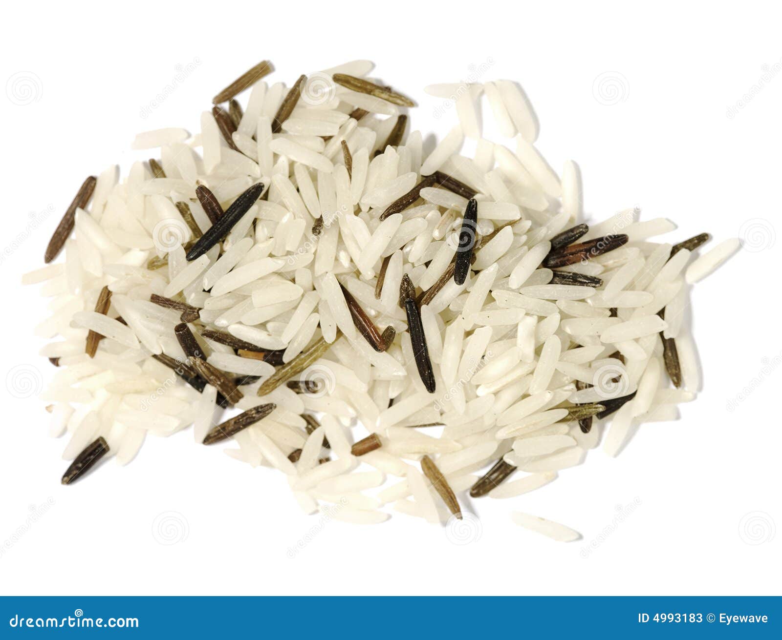 Wild rice isolated stock image. Image of asia, nutrition - 4993183