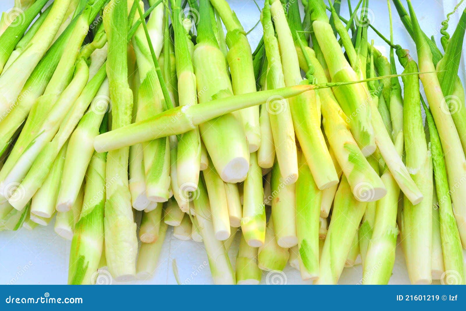 Wild rice shoots stock image. Image of booth, bamboo - 21601219