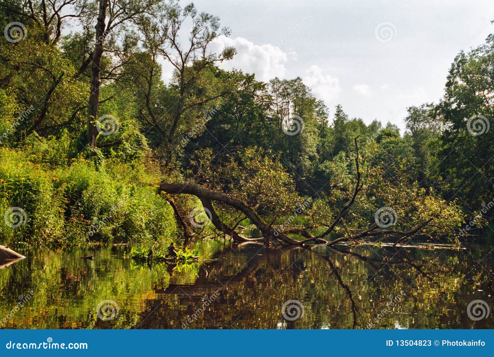 Wild river stock image. Image of midday, season, water - 13504823