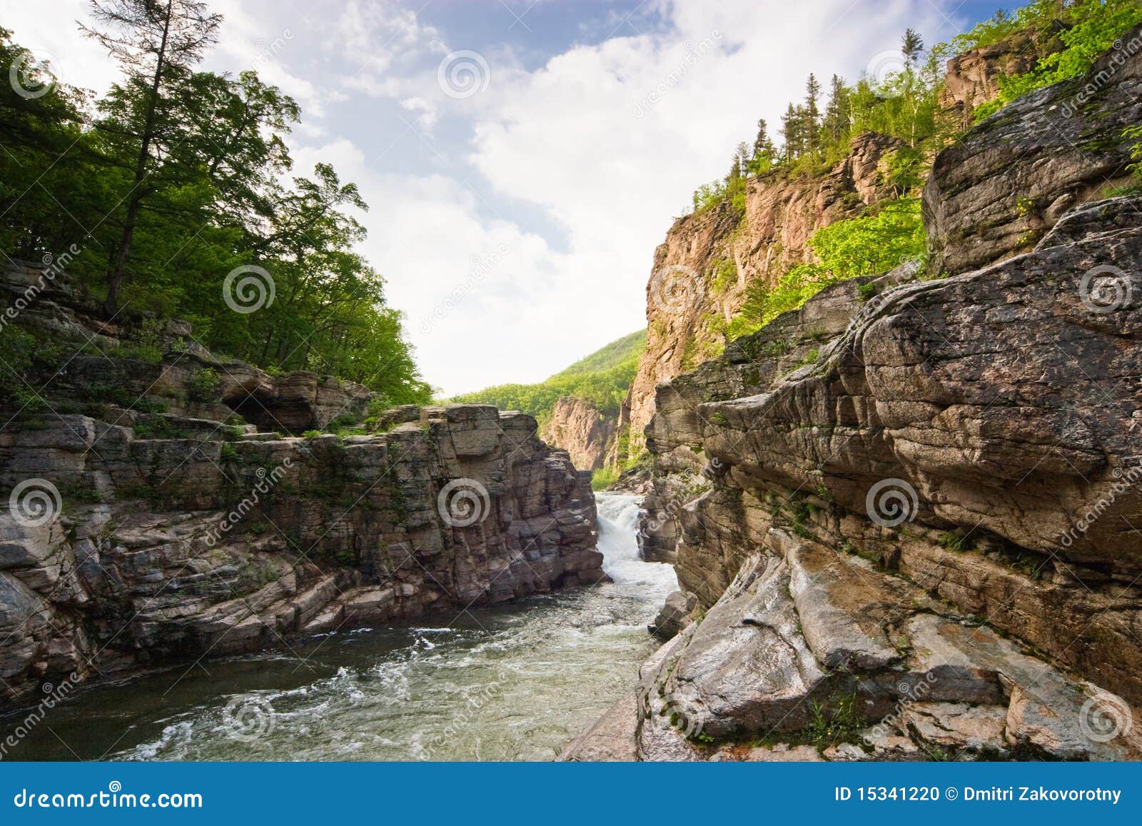 Wild River stock photo. Image of detail, mirror, tranquil - 15341220
