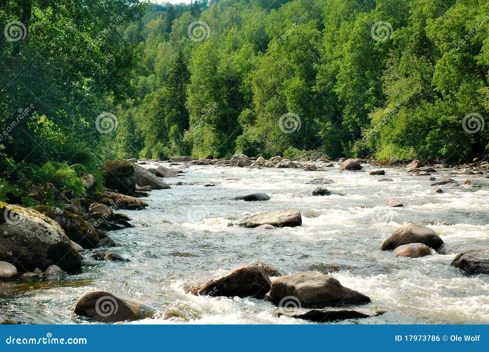 Wild River stock photo. Image of splash, river, water - 17973786