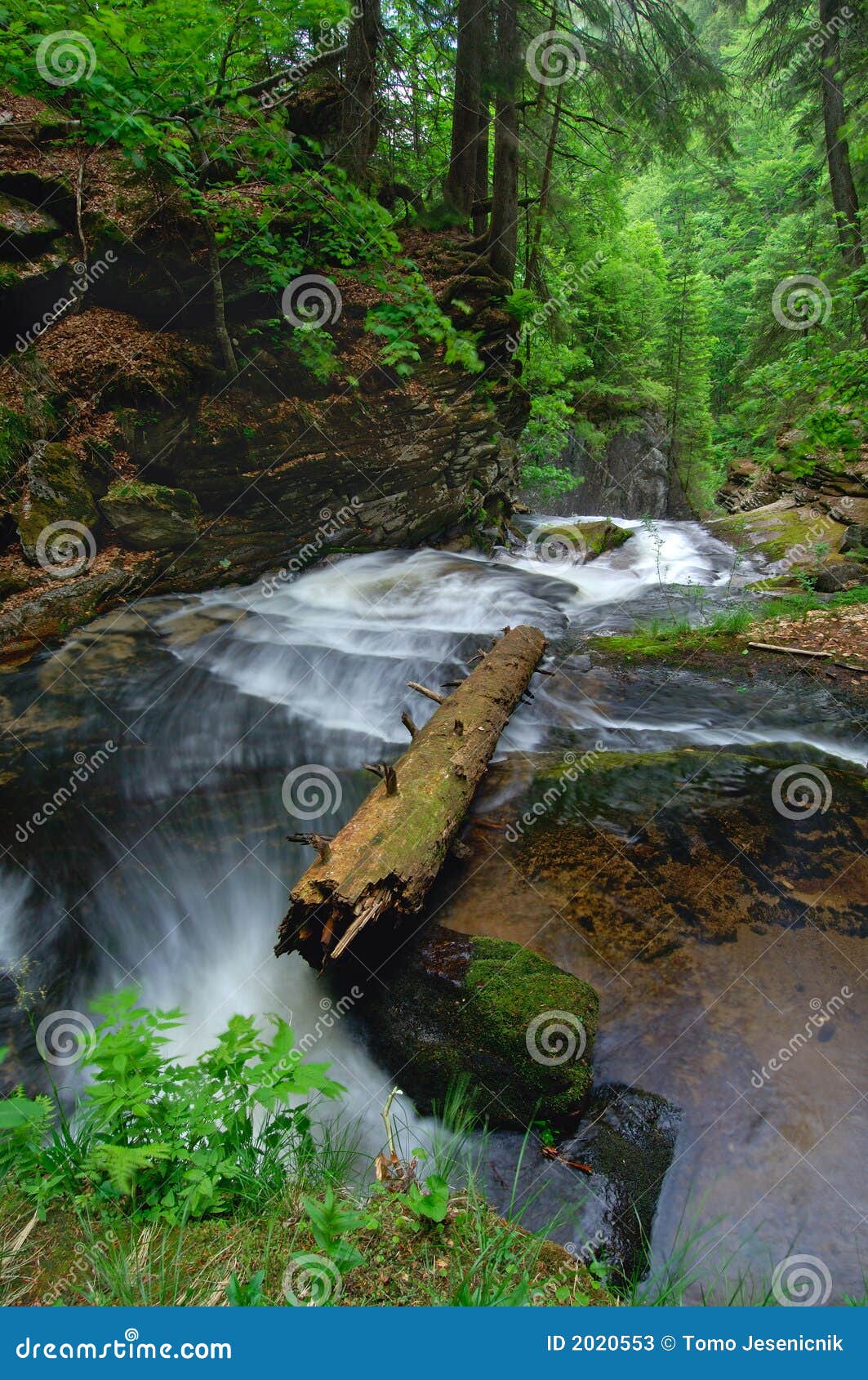 Wild river stock image. Image of wilderness, landscape - 2020553