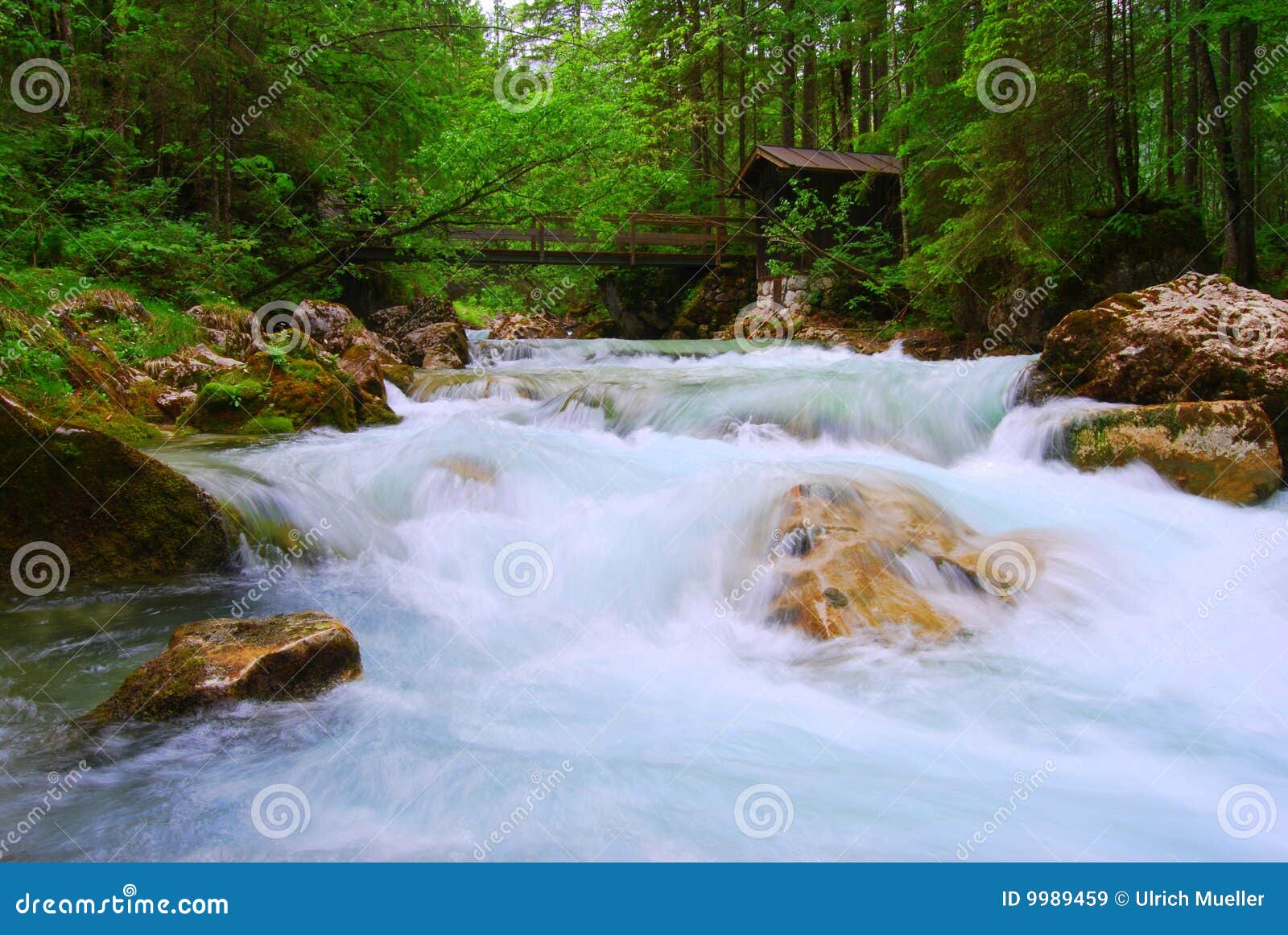 Wild river stock image. Image of exposure, landscape, water - 9989459
