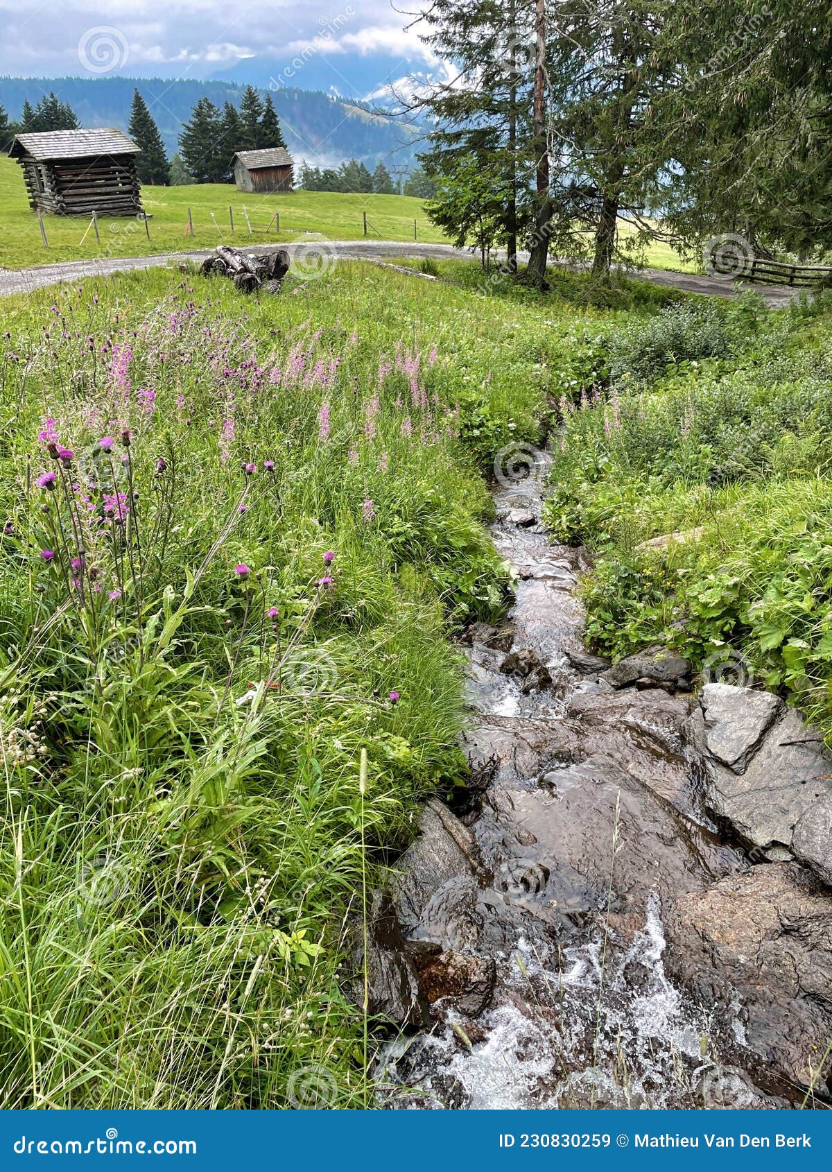 Wild River in the Alpine Nature of Austrian Alps Stock Image - Image of ...