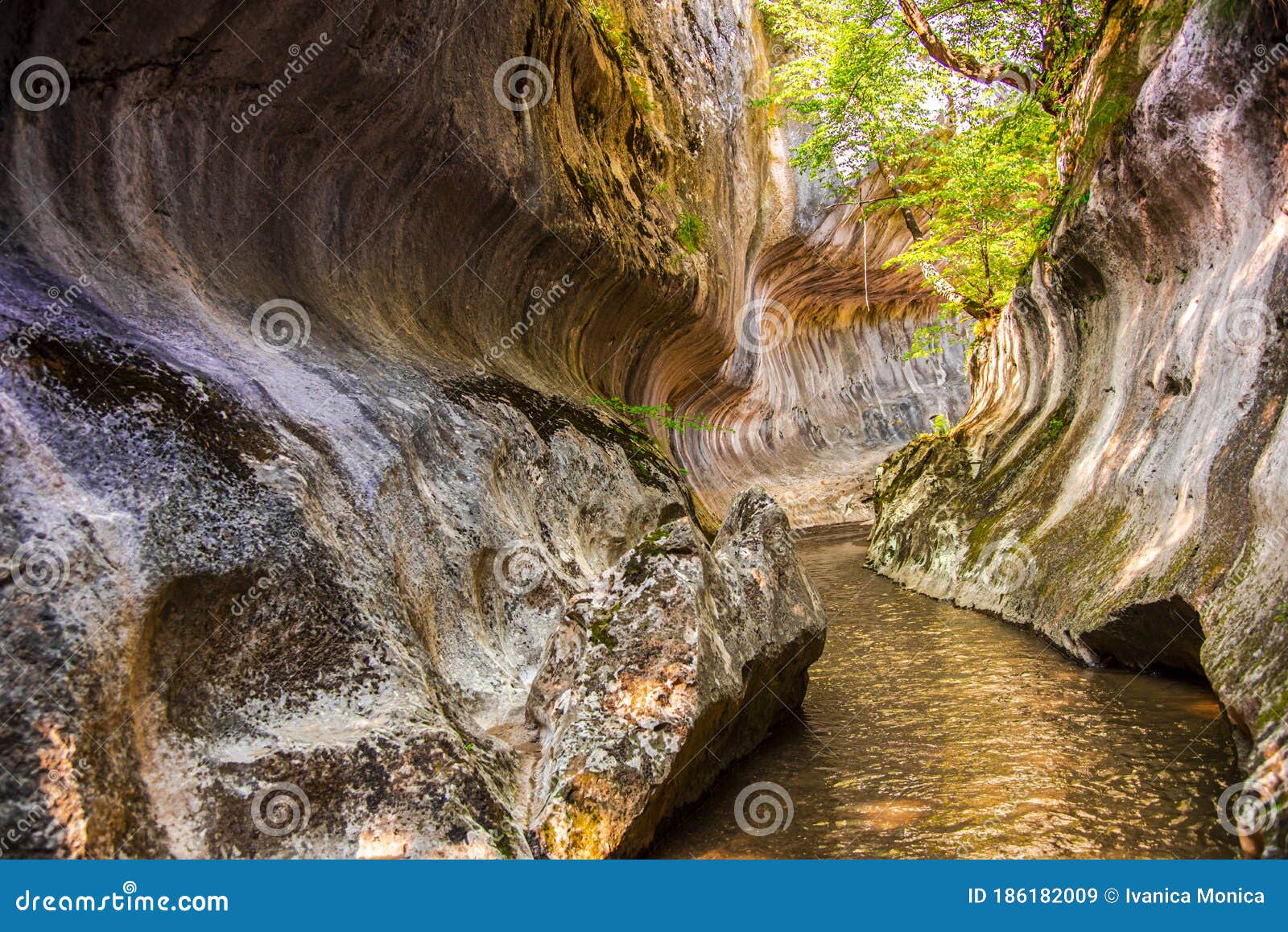 Wild River and the Big Gorge Stock Image - Image of gorge, rocks: 186182009