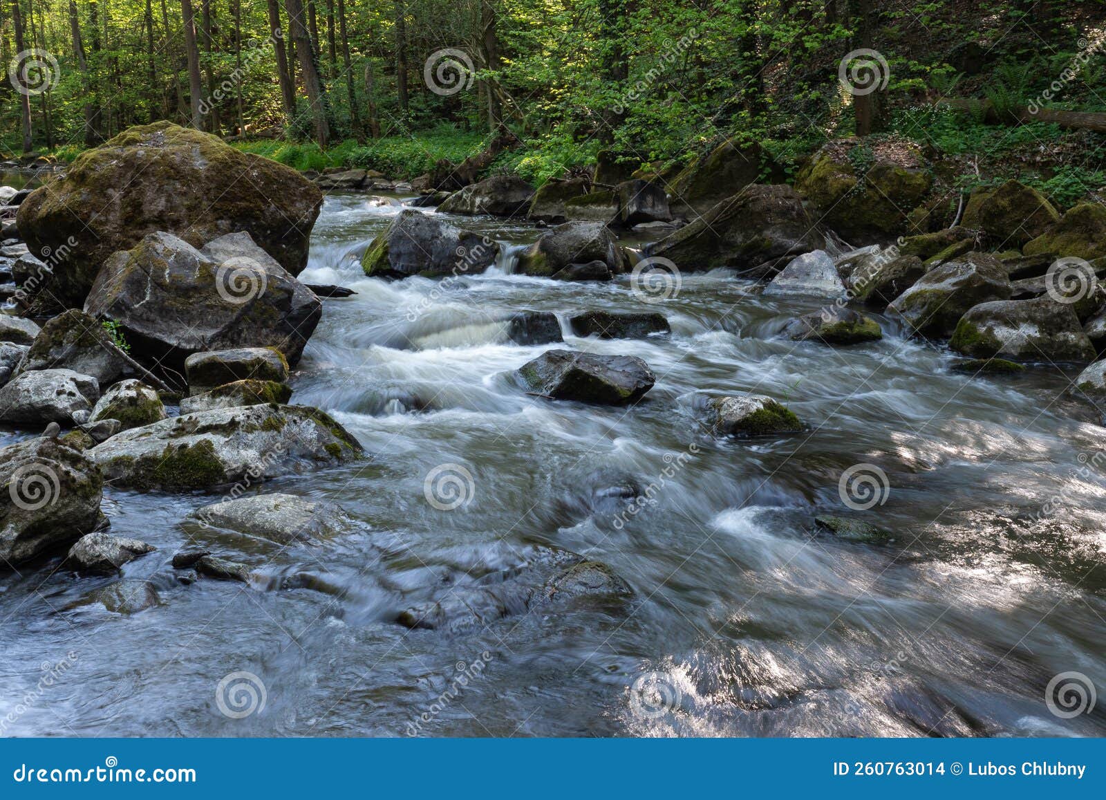Wild River Doubrava in Czech Republic, Europe Stock Photo - Image of ...