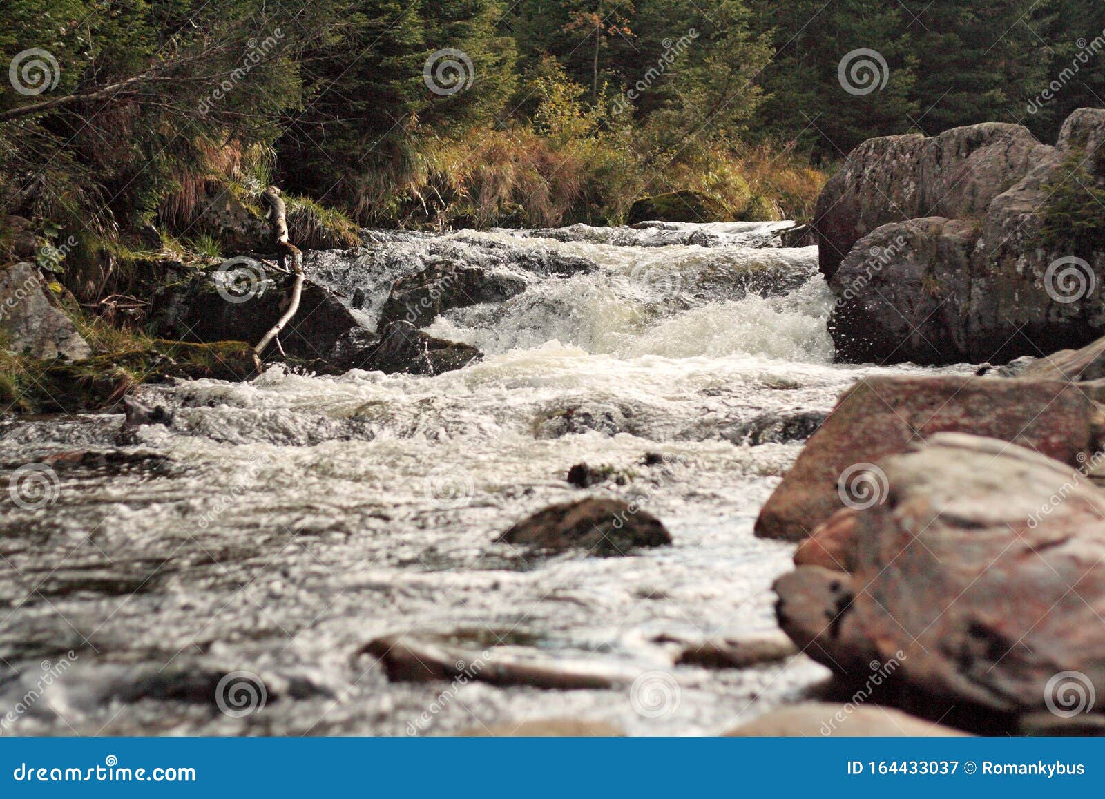 Wild River in the Forest, Rapids and Rocks Stock Image - Image of ...