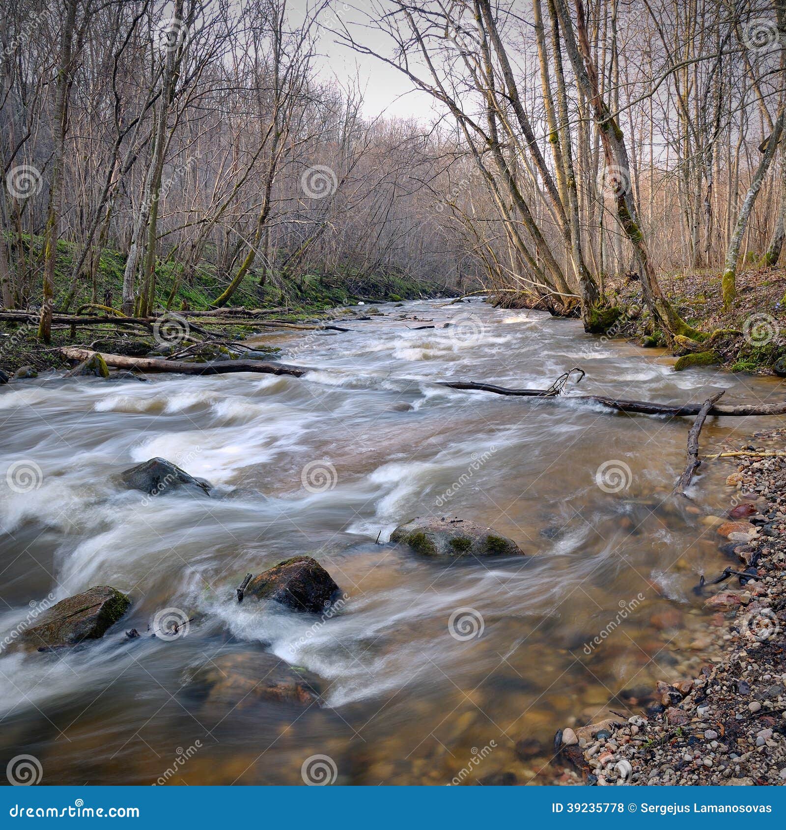 Wild River Landscape in Spring Stock Photo - Image of water, stream ...