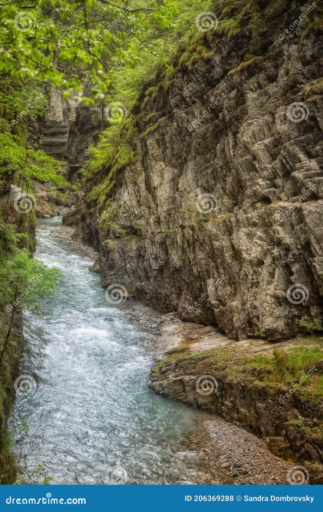 A Wild River in the Midst of Impressive Nature Stock Photo - Image of ...