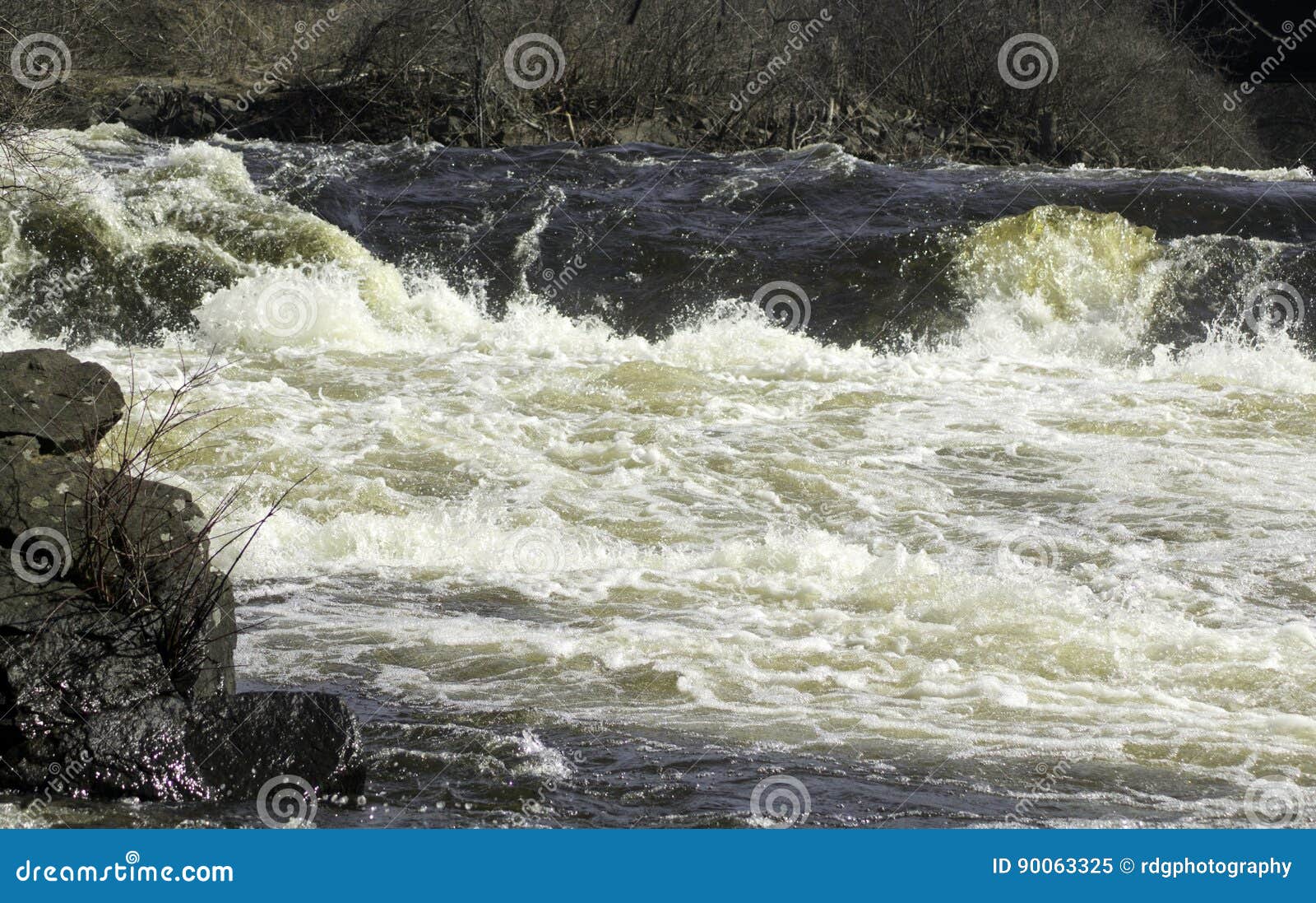 Wild River Rapids stock image. Image of grasse, waters - 90063325