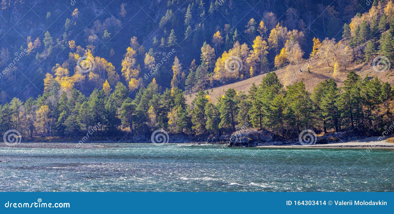 Wild River in Siberia, Autumn Stock Photo - Image of pano, forest ...
