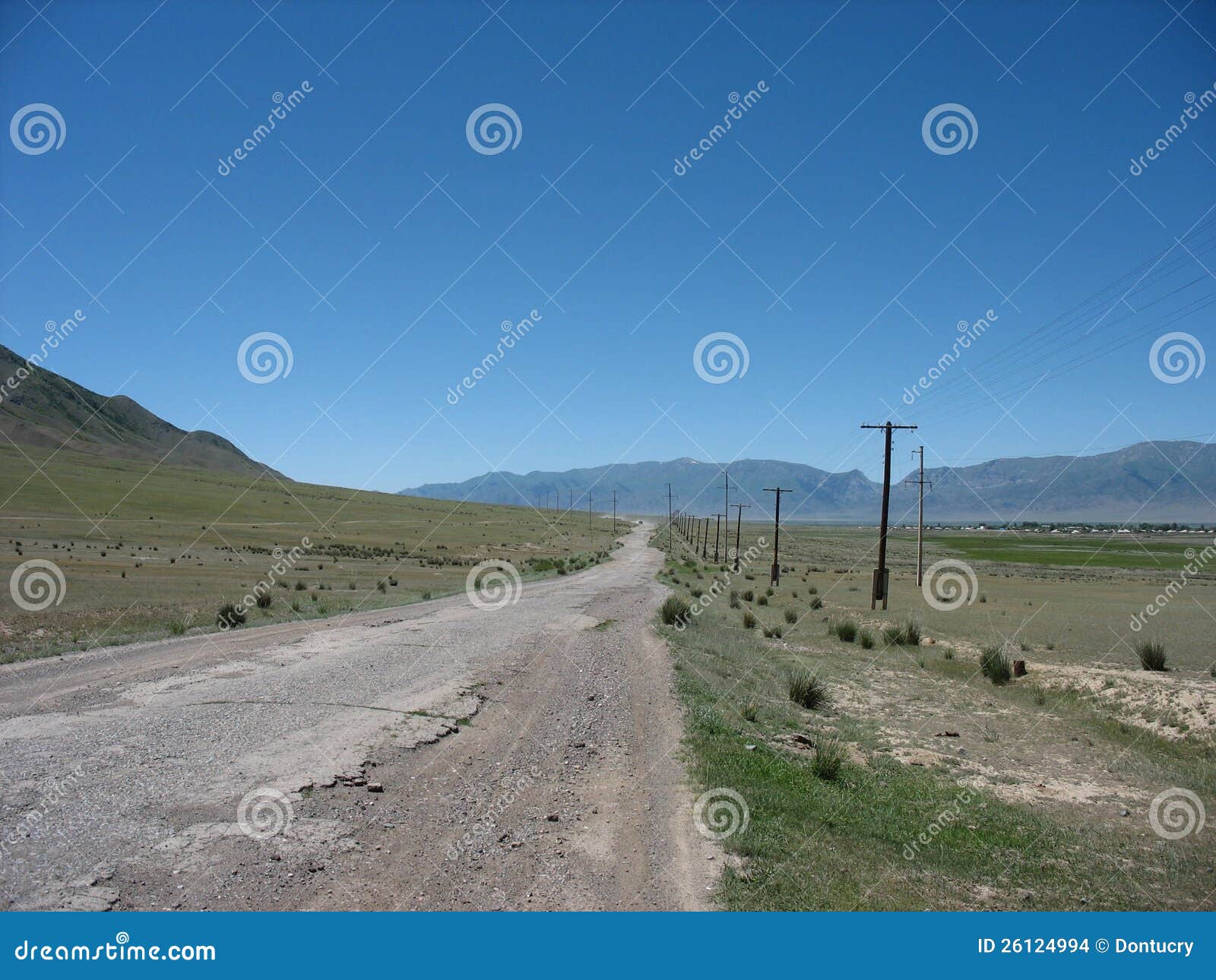 A wild road stock photo. Image of background, green, grass - 26124994