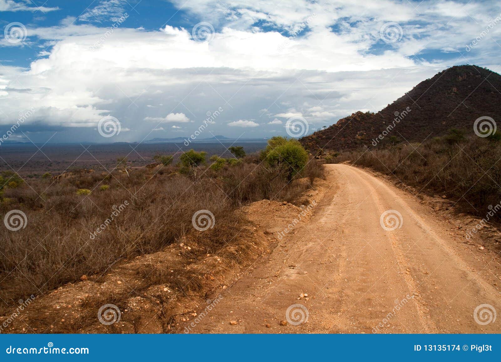 Wild Road Landscape stock photo. Image of green, scenery - 13135174