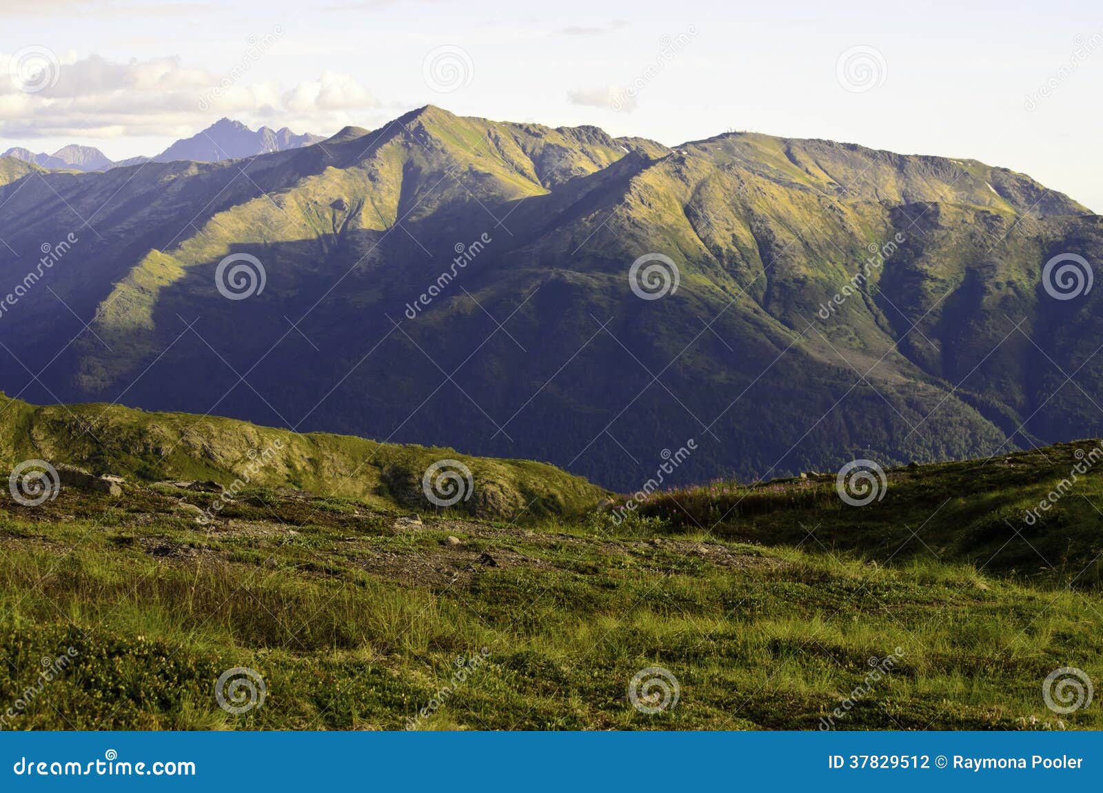 Wild rolling mountains stock photo. Image of hike, landscape - 37829512
