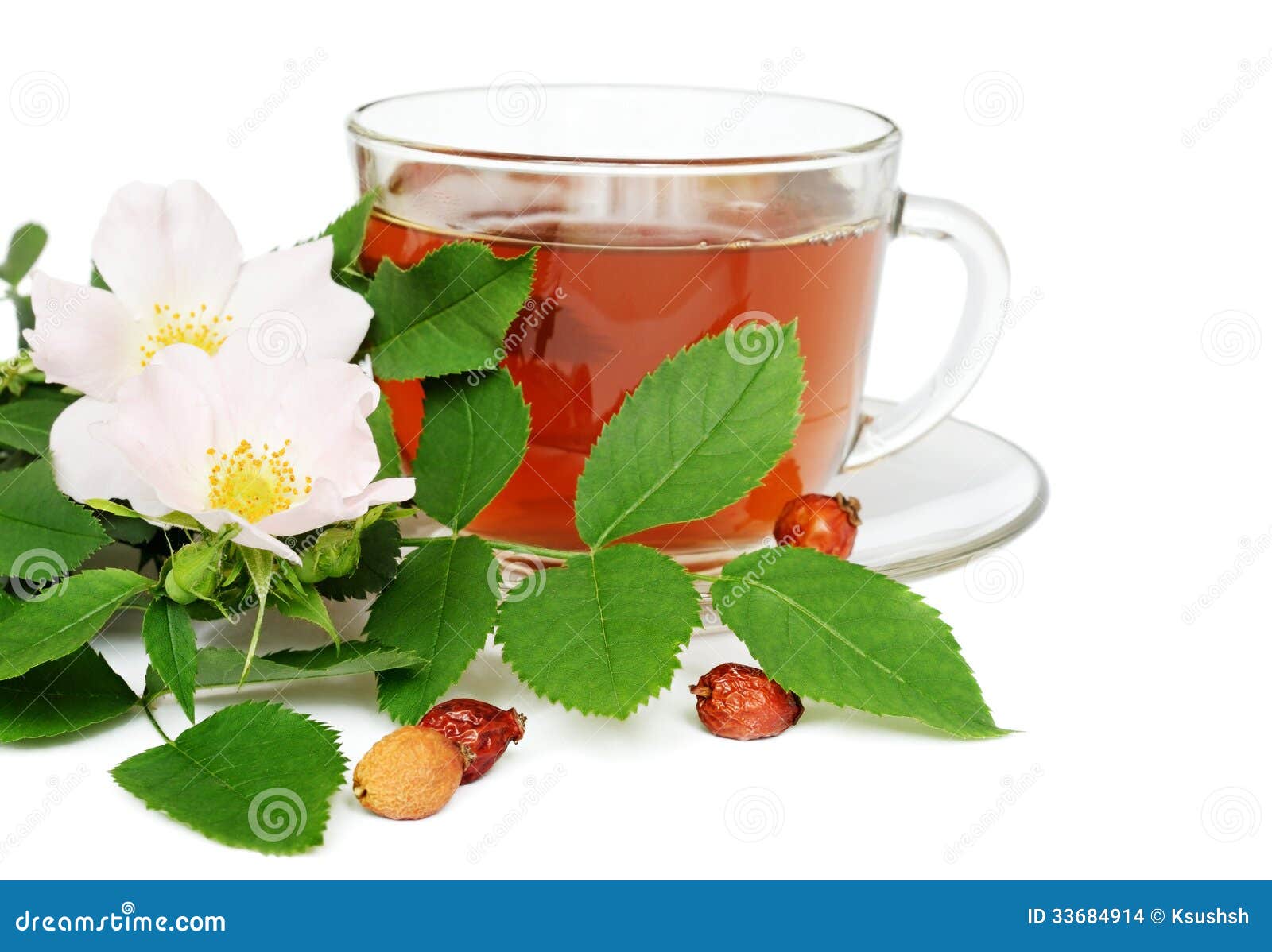 Wild rose tea with flowers stock photo. Image of isolated - 33684914