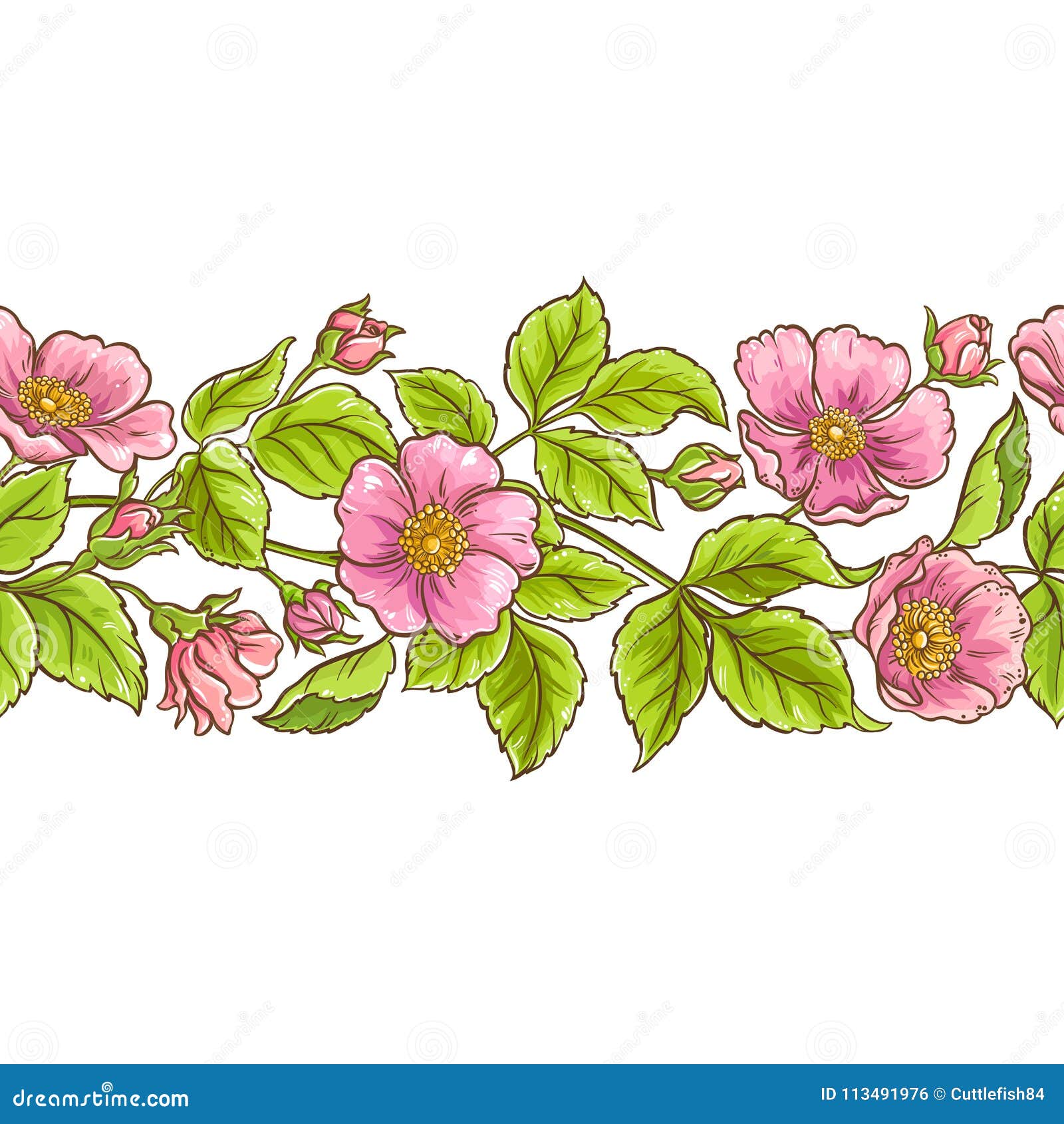 Wild rose vector pattern stock vector. Illustration of fruit - 113491976