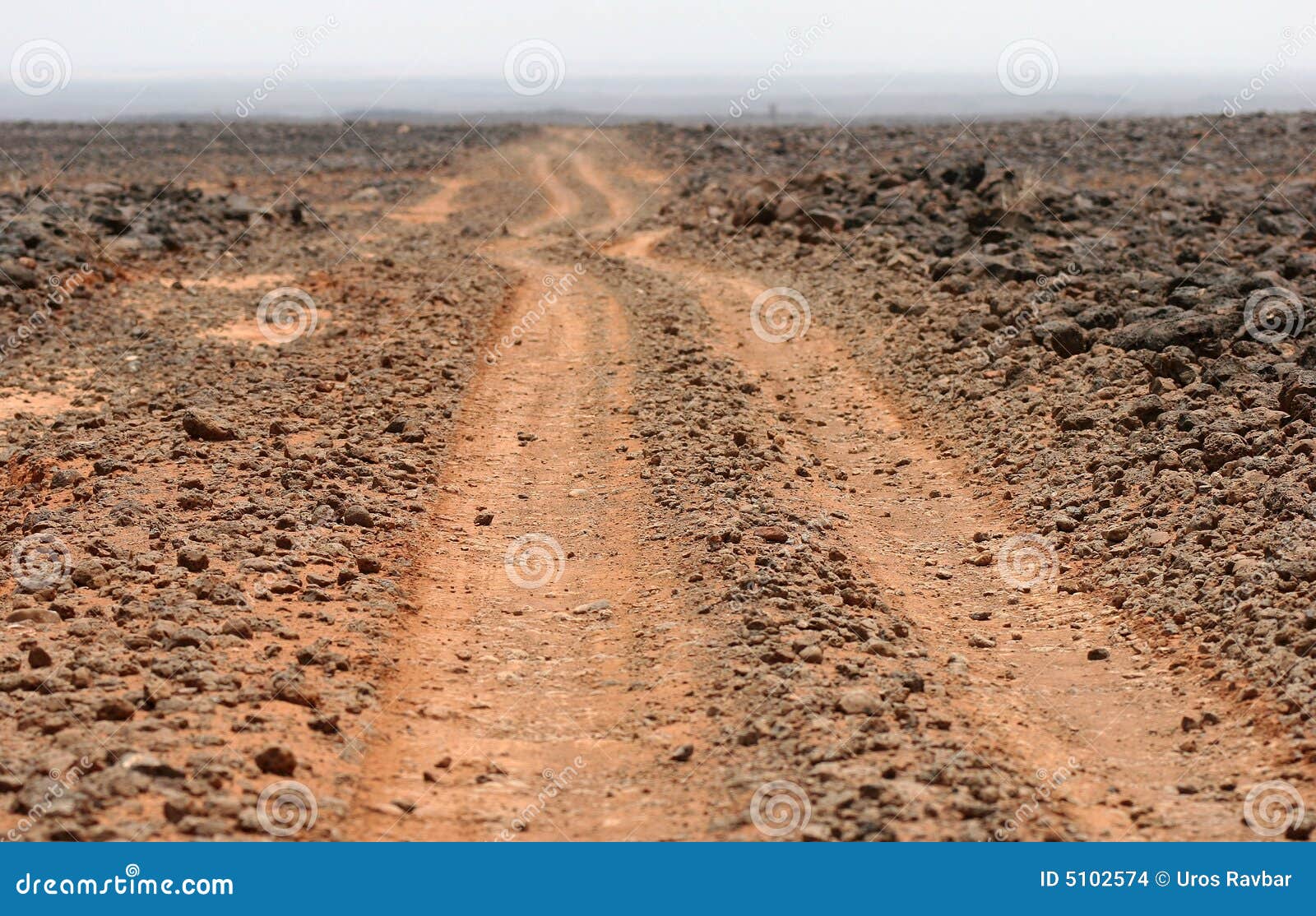 Wild Rough Desert road stock photo. Image of path, land - 5102574